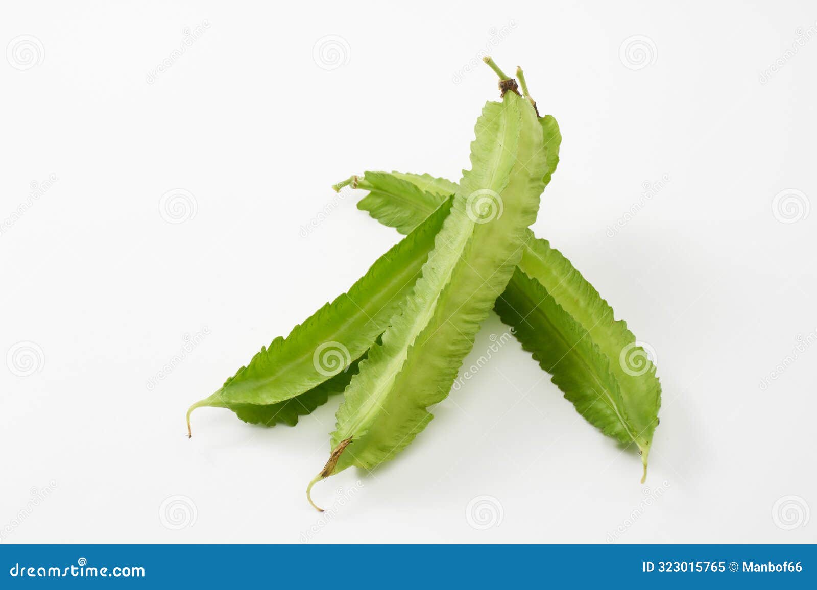 Winged Beans on White Background Stock Image - Image of cuisine ...