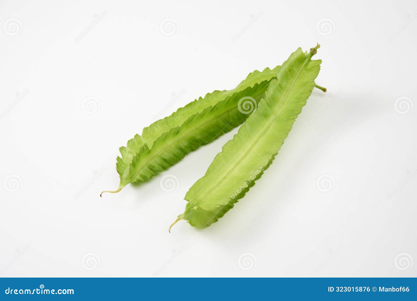 Winged Beans on White Background Stock Photo - Image of white, food ...