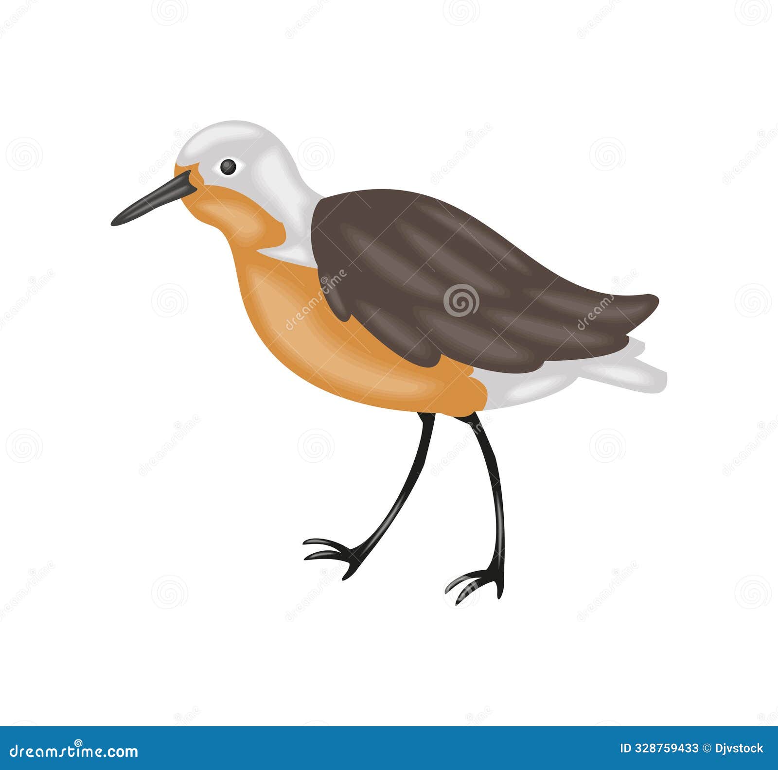 Sandpiper Bird, Lake, Gragonflies, Wetlands Cartoon Vector ...