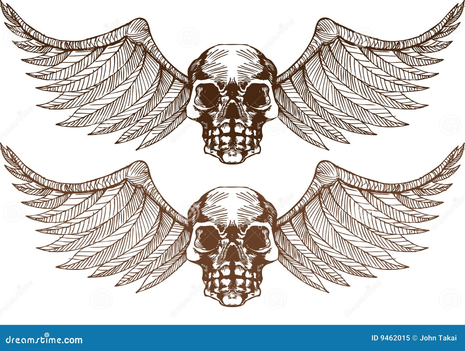 Winged Skulls stock vector. Illustration of feathers, design - 9462015