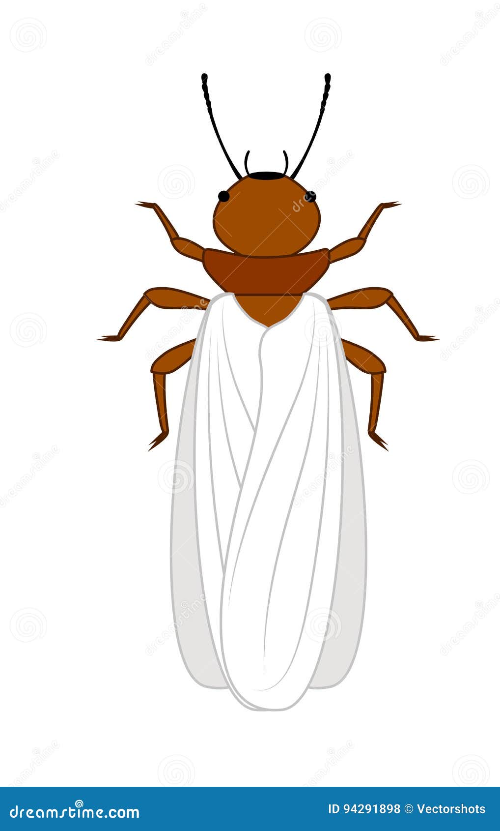 Termite,insect,nest,teeth,bite,nest,nuisance,sharp,disease,nature,wood ...