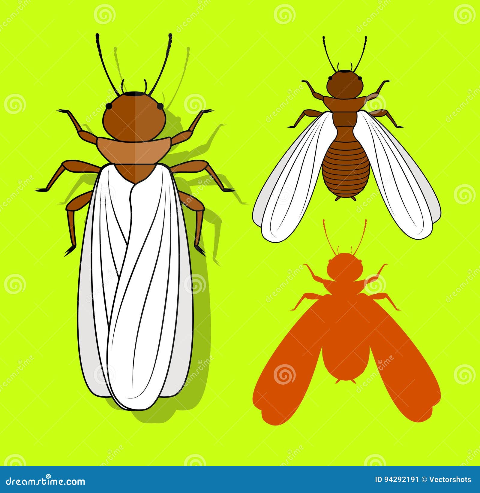 Winged Termite Insects stock vector. Illustration of creature - 94292191