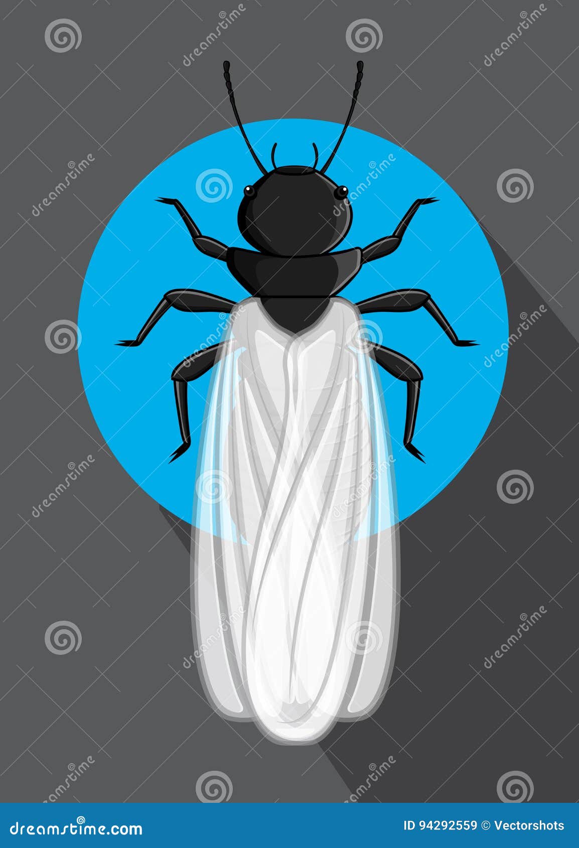 Winged Termite Vector Insect Stock Vector - Illustration of follow ...