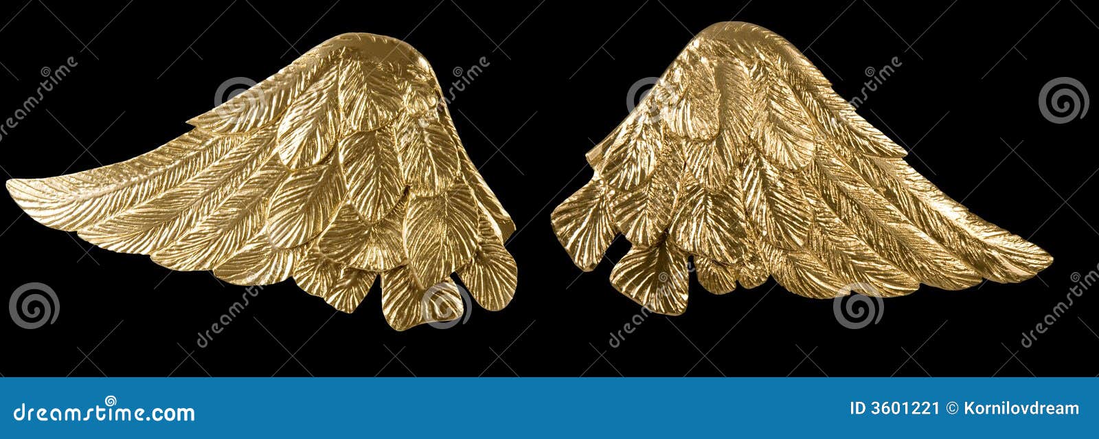 Wings stock image. Image of magic, golden, halo, heaven - 3601221