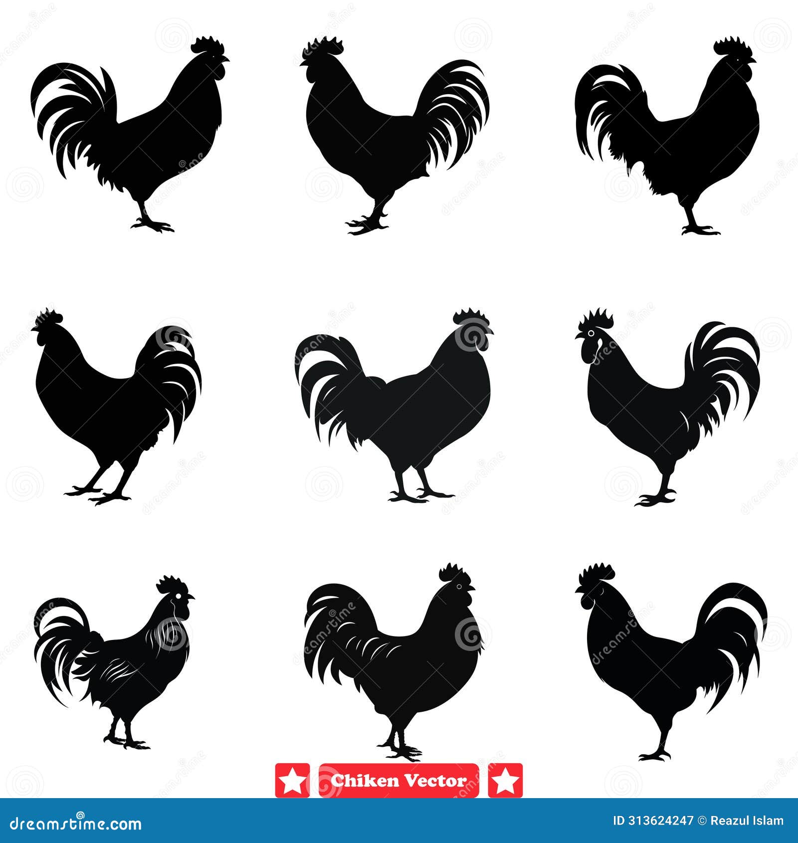 Wings and Feathers Detailed Chicken Vector Art Compilation Stock Vector ...