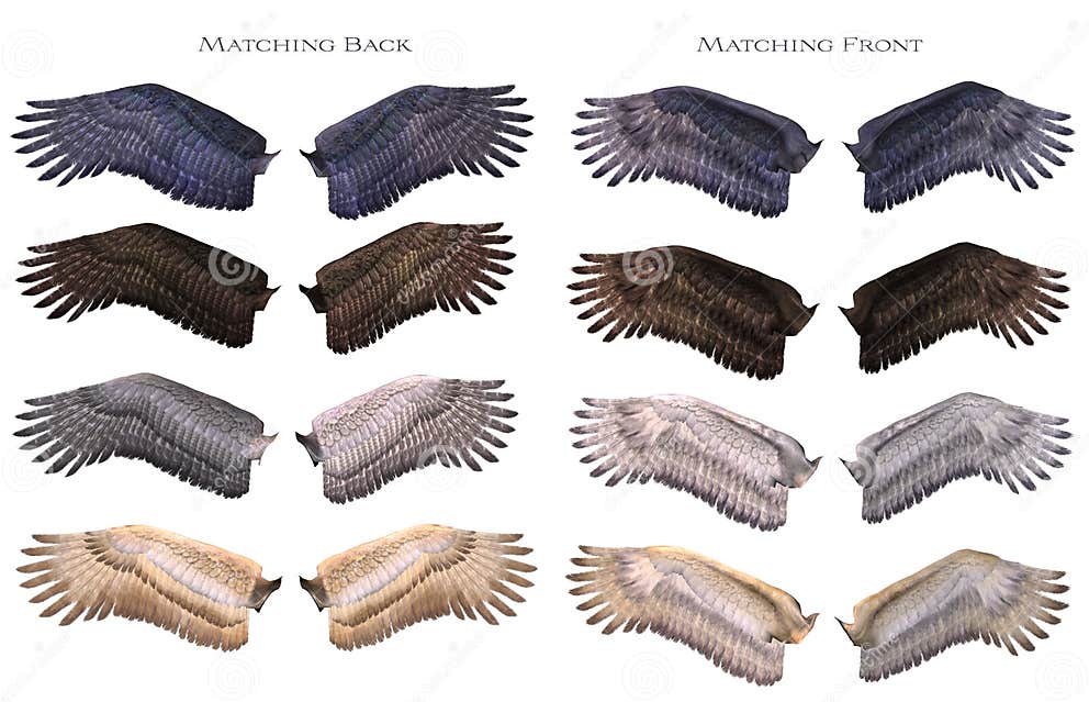Wings matching stock illustration. Illustration of mysticism - 20354567