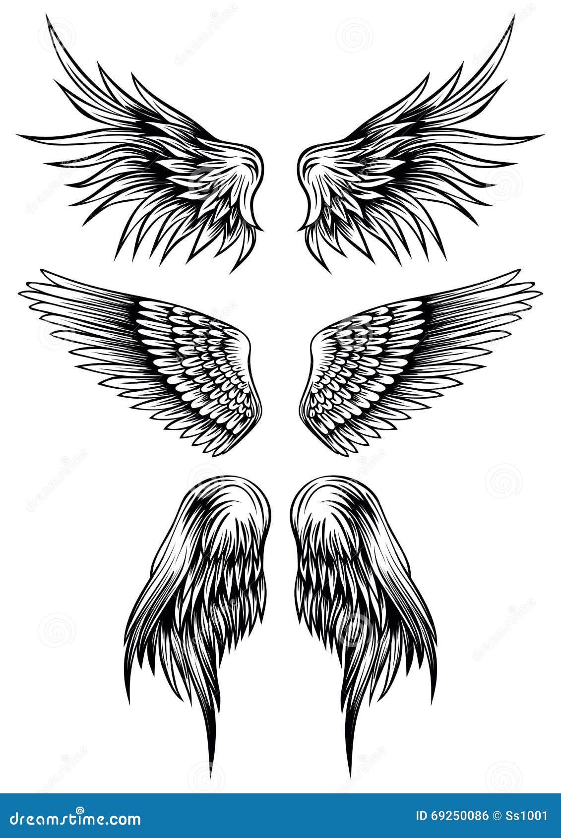 Wings set stock vector. Illustration of heraldry, hawk - 69250086