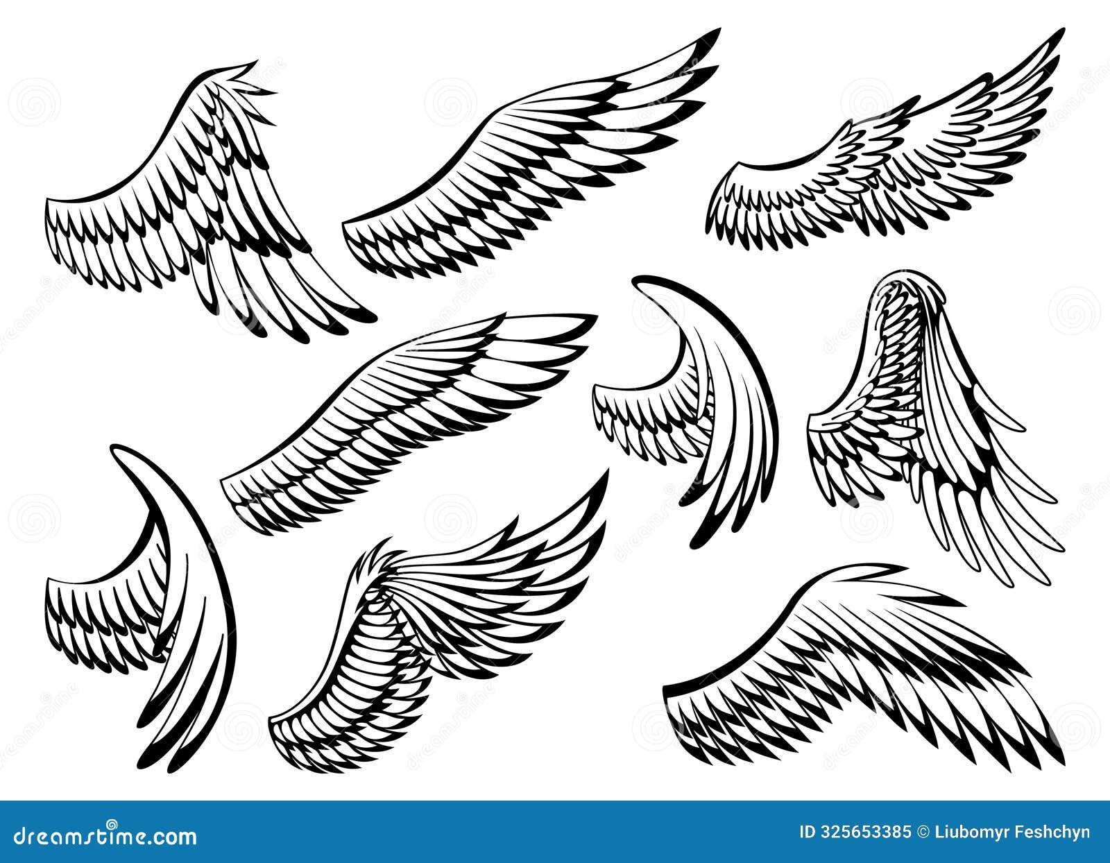 Wings Sketch Collection. Stylized Birds Wings. Hand Drawn Contoured ...