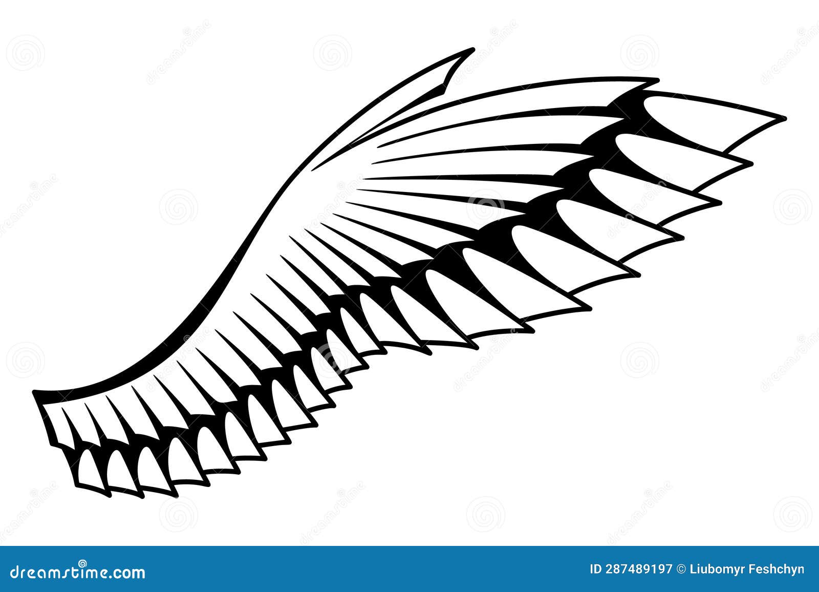 Wings Sketch. Stylized Birds Wings. Hand Drawn Contoured Stiker Wing in ...