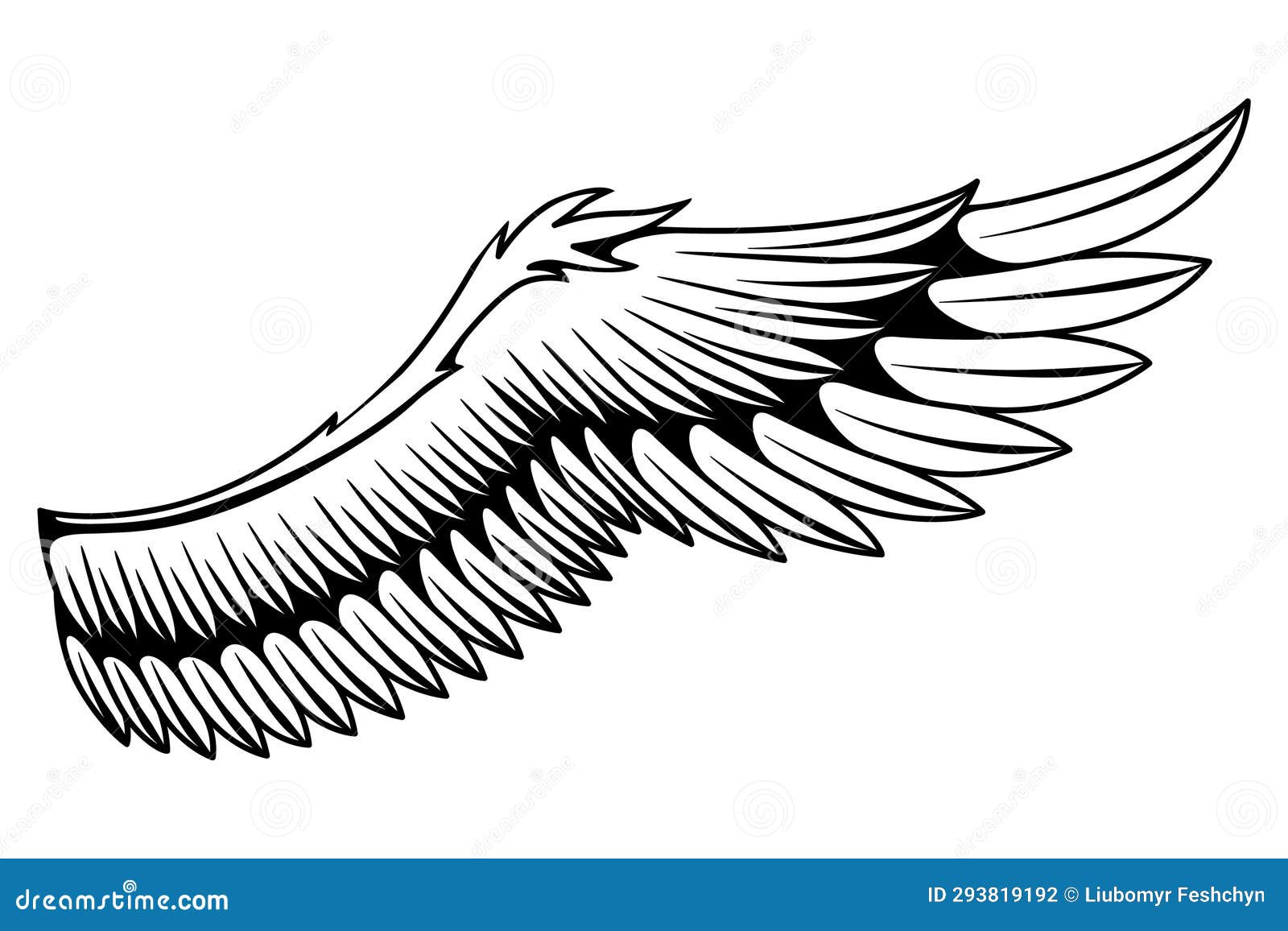 Wings Sketch. Stylized Birds Wings. Hand Drawn Contoured Stiker Wing in ...