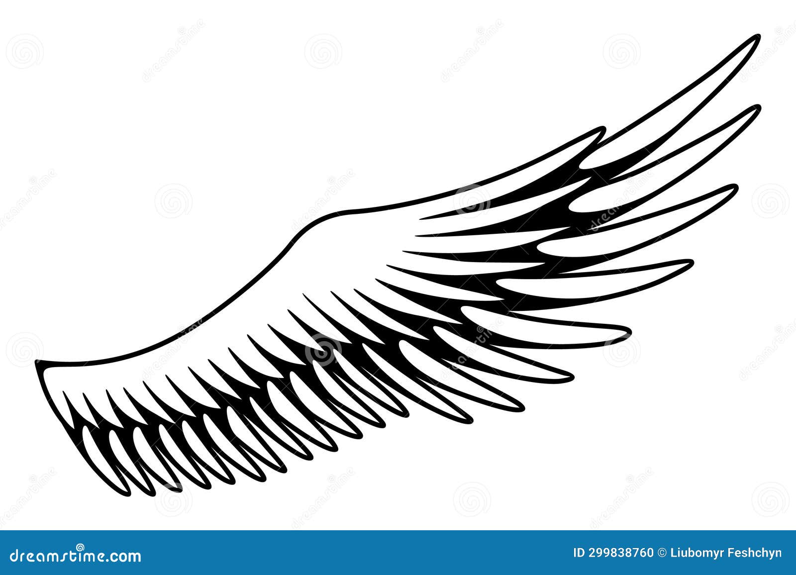 Wings Sketch. Stylized Birds Wings. Hand Drawn Contoured Stiker Wing in ...