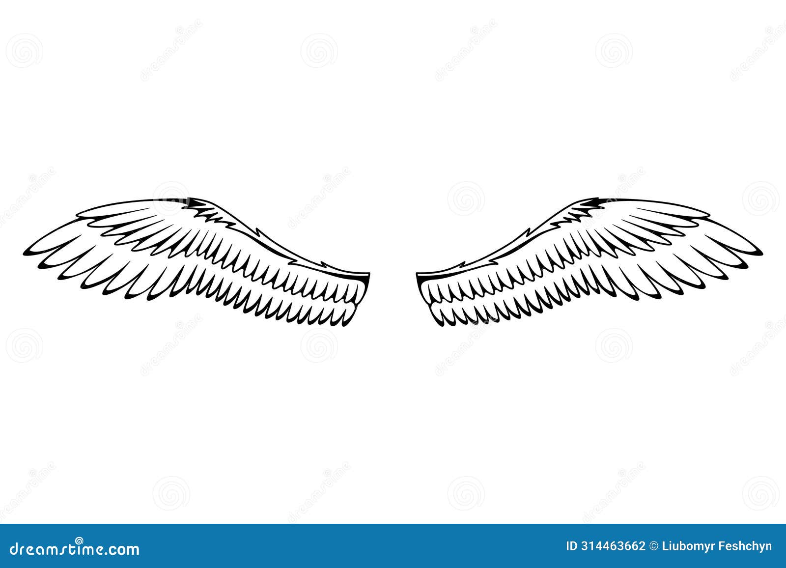Wings Sketch. Stylized Birds Wings. Hand Drawn Contoured Stiker Wing in ...