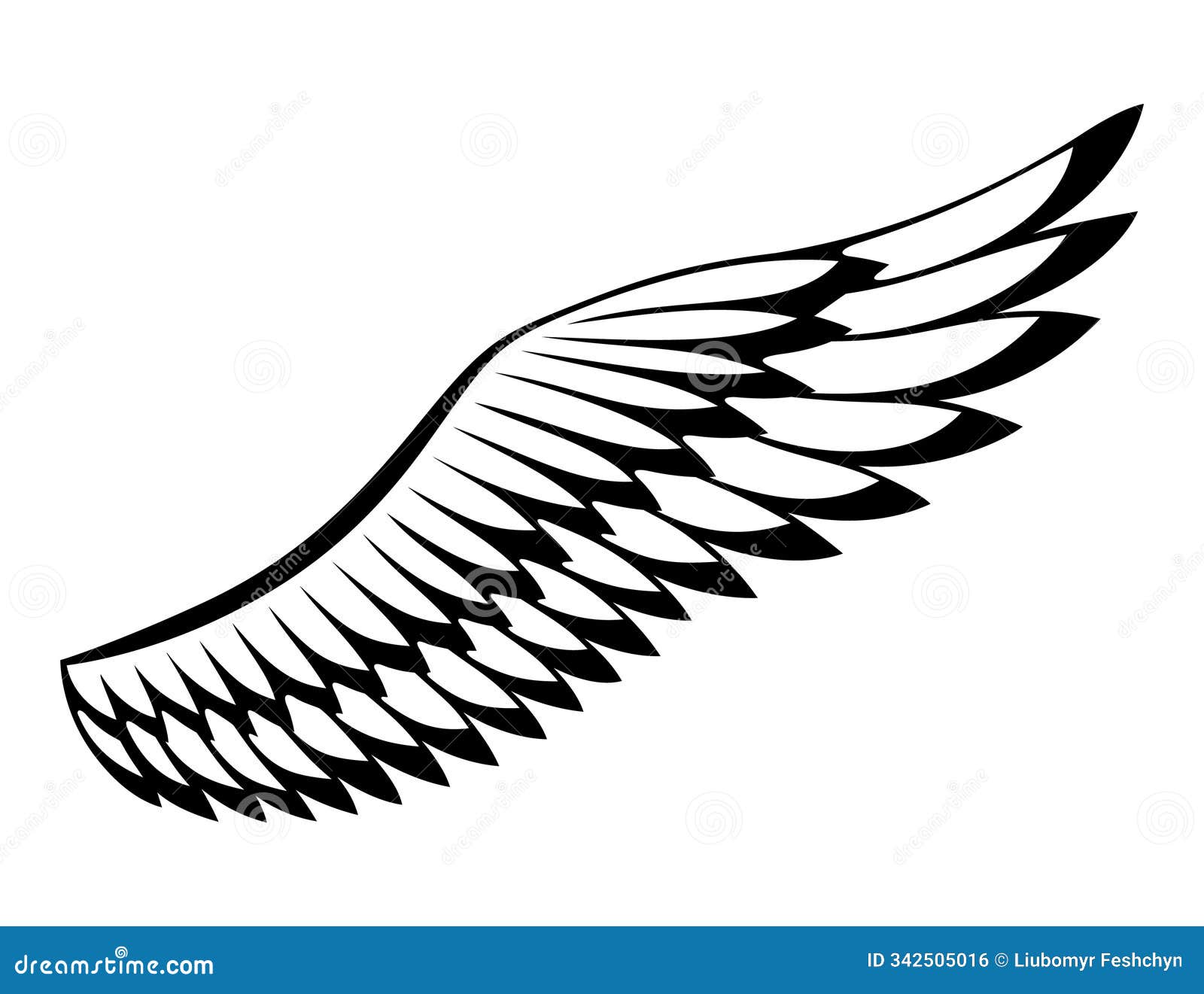 Wings Sketch. Stylized Birds Wings. Hand Drawn Contoured Stiker Wing in ...