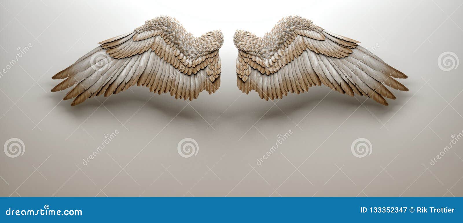Wings spread out on white stock illustration. Illustration of freedom ...