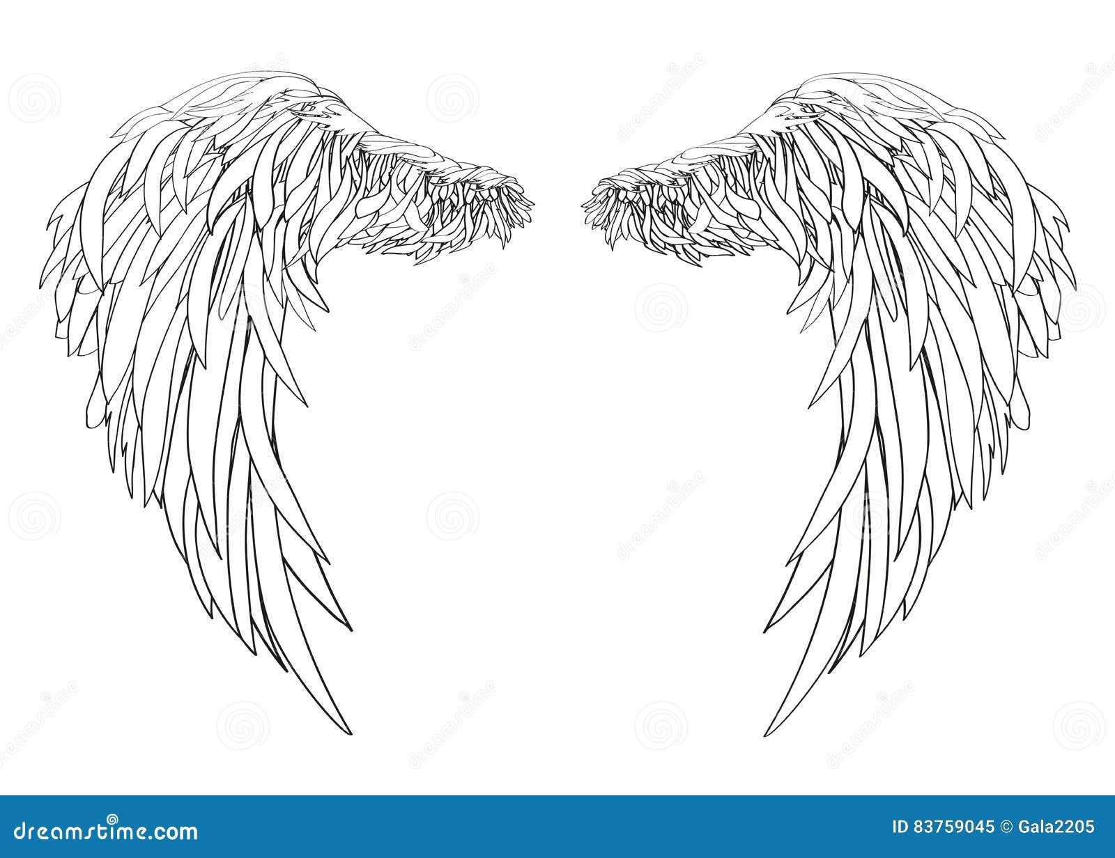 Wings. Vector Illustration on White Background Stock Vector ...