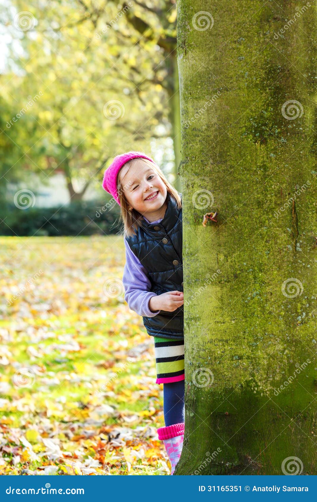 Wink stock image. Image of funny, foliage, emotion, city - 31165351
