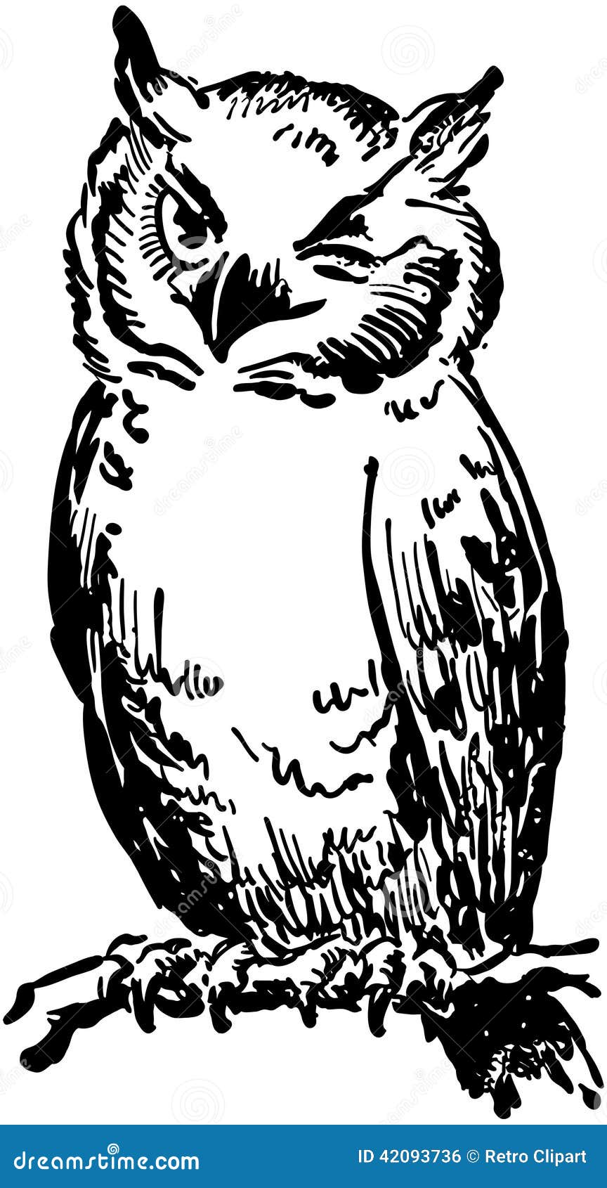 Winking Owl stock vector. Illustration of birds, retro - 42093736