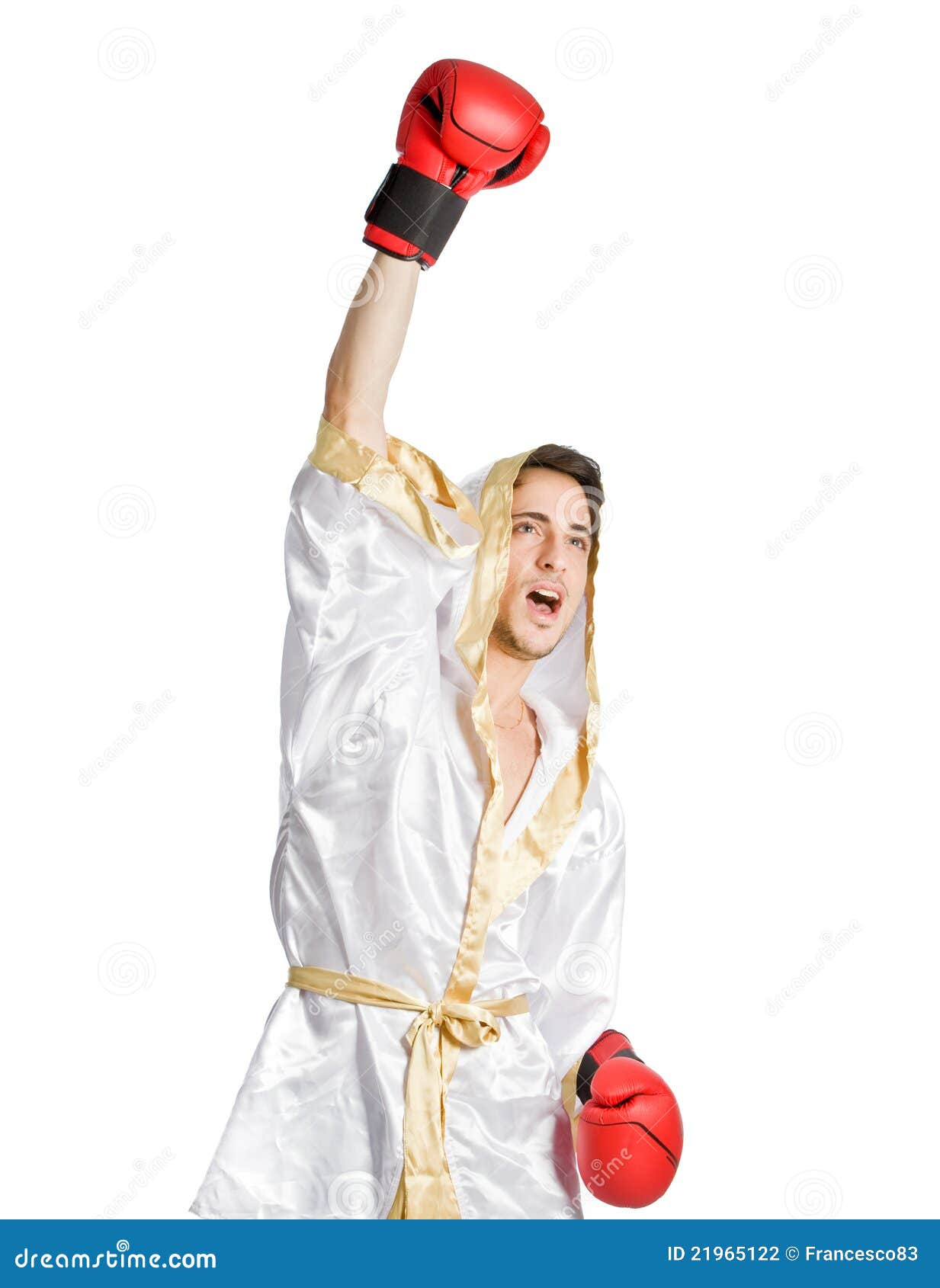 Winner stock photo. Image of fight, fists, boxing, sports - 21965122