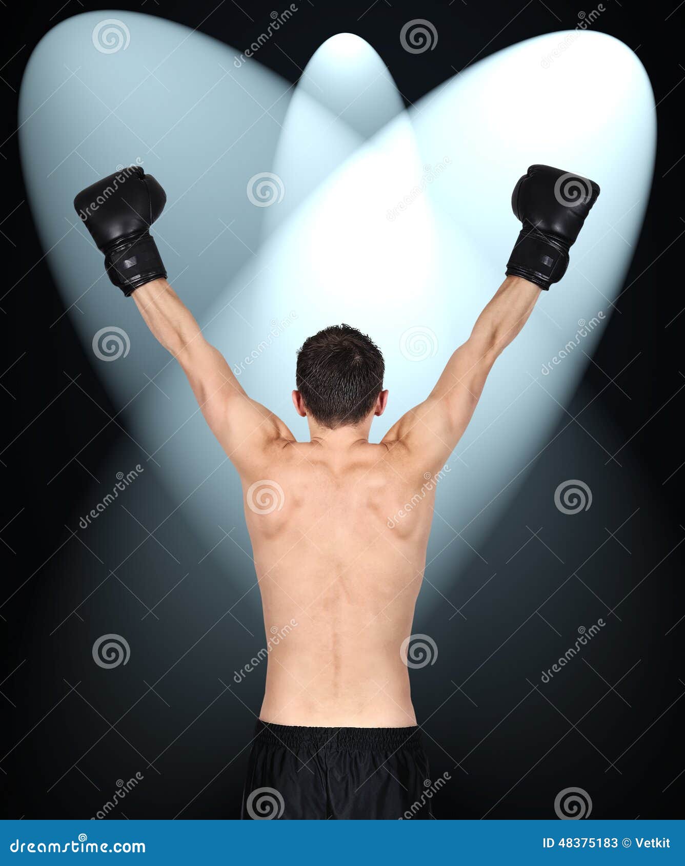 Winner boxer stock image. Image of glove, fist, caucasian - 48375183