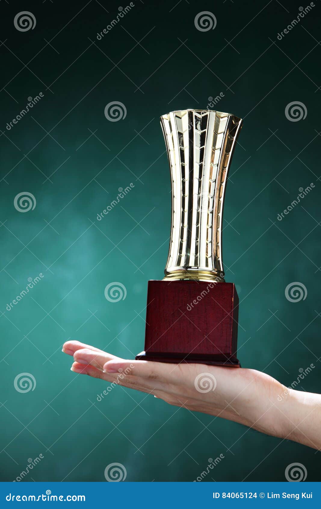 Winner stock photo. Image of raise, reward, sport, hand - 84065124