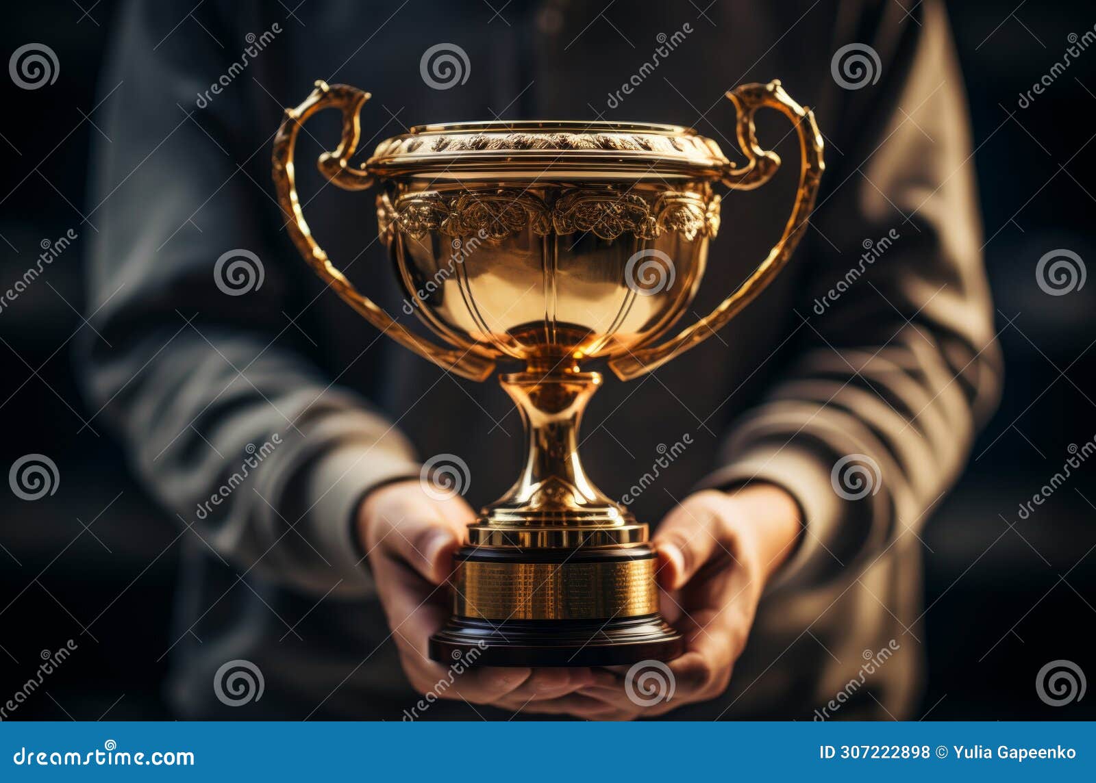 The Winner is Holding a Trophy Up Like a Person Stock Photo - Image of ...