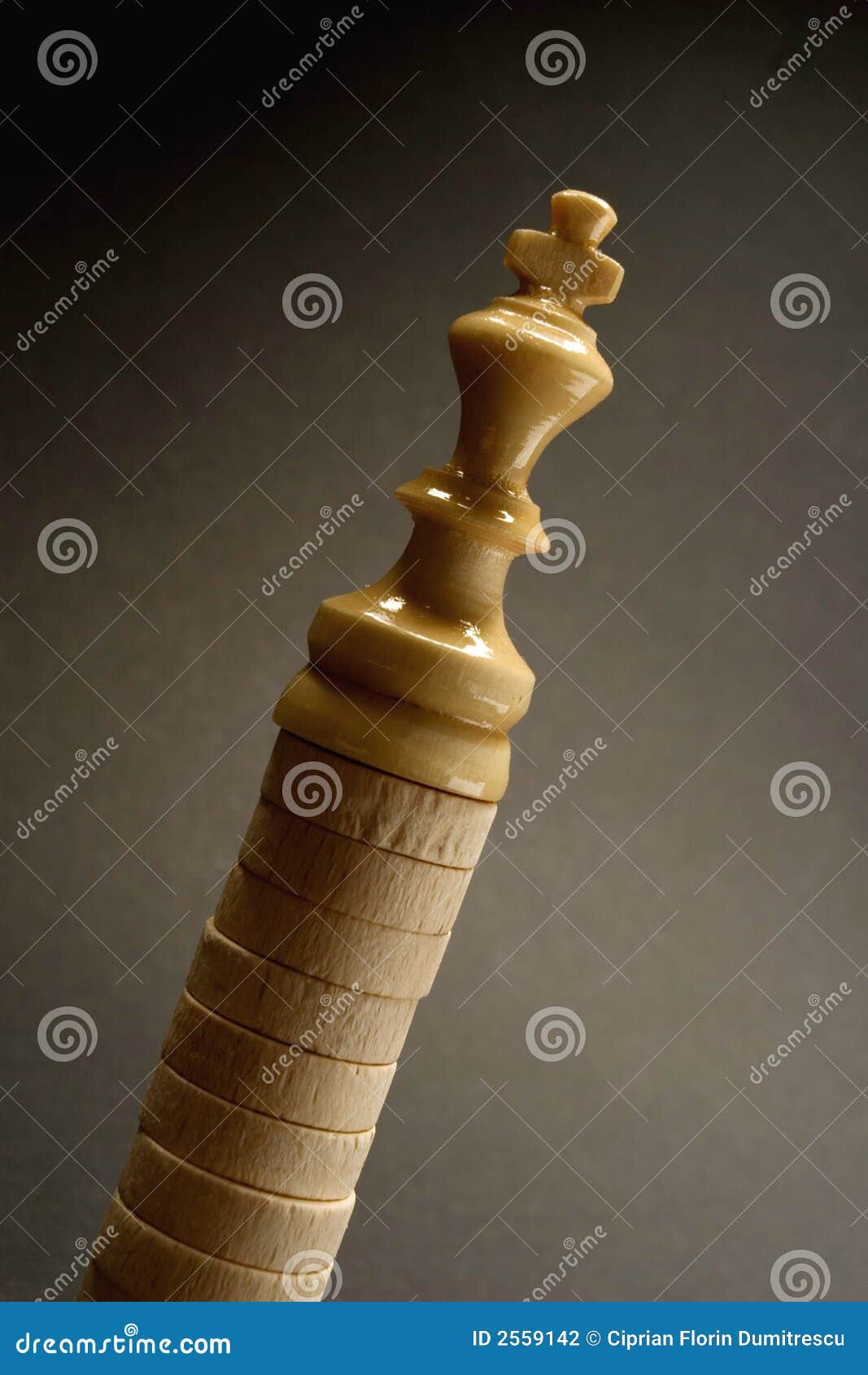 Winner king stock photo. Image of vintage, wood, brain - 2559142
