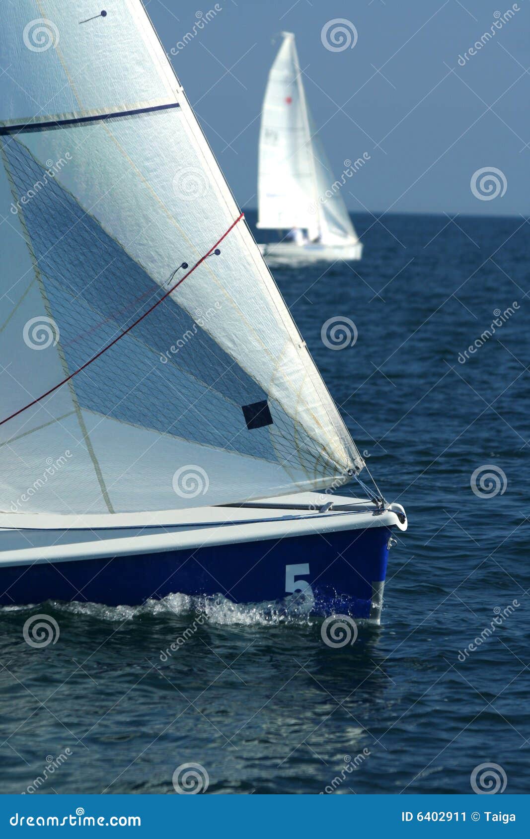The Winner and Losed / Sailing Sport / Regatta Stock Image - Image of ...