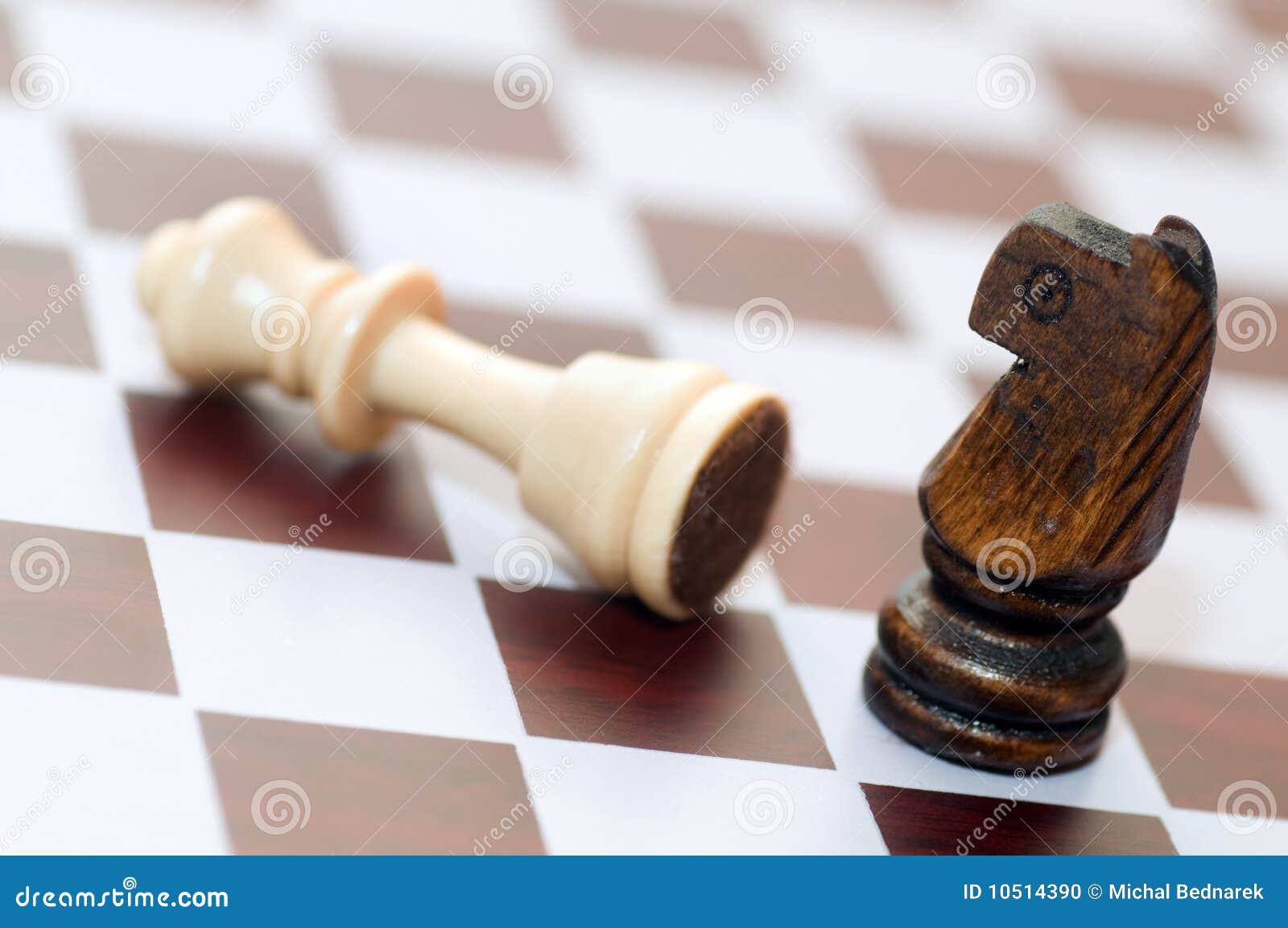 Winner and loser stock photo. Image of competition, leader - 10514390