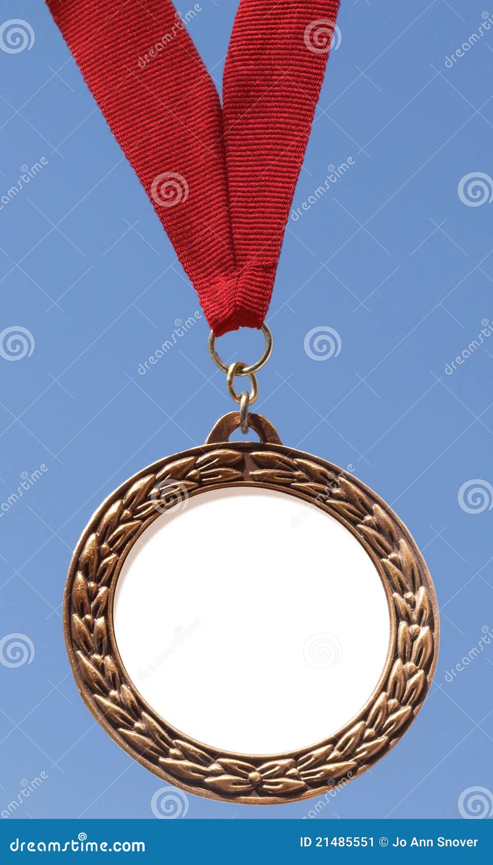 Winner medal stock image. Image of winner, champion, laurels - 21485551