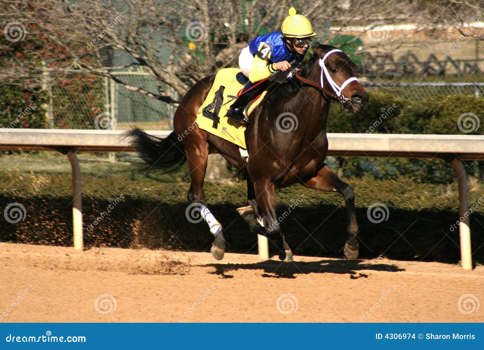 The winner is number four editorial stock image. Image of yellow - 4306974