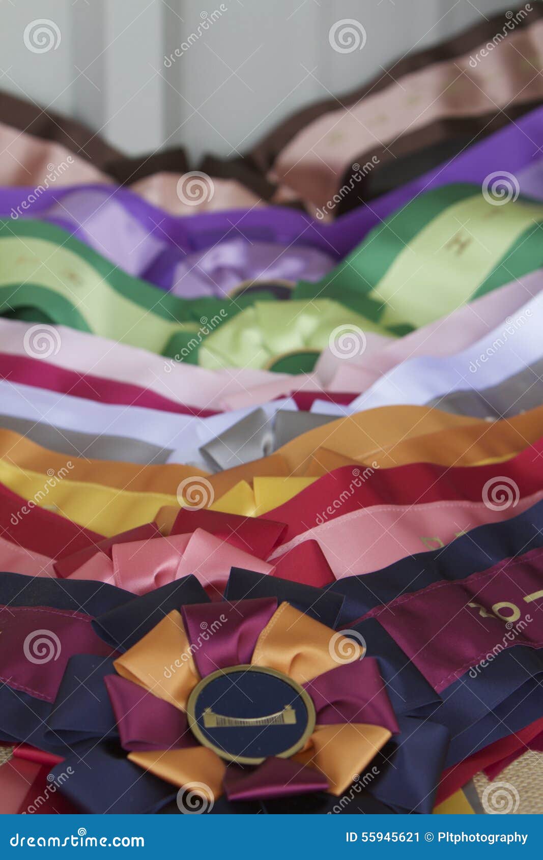 Winners stock image. Image of colors, sports, purple - 55945621