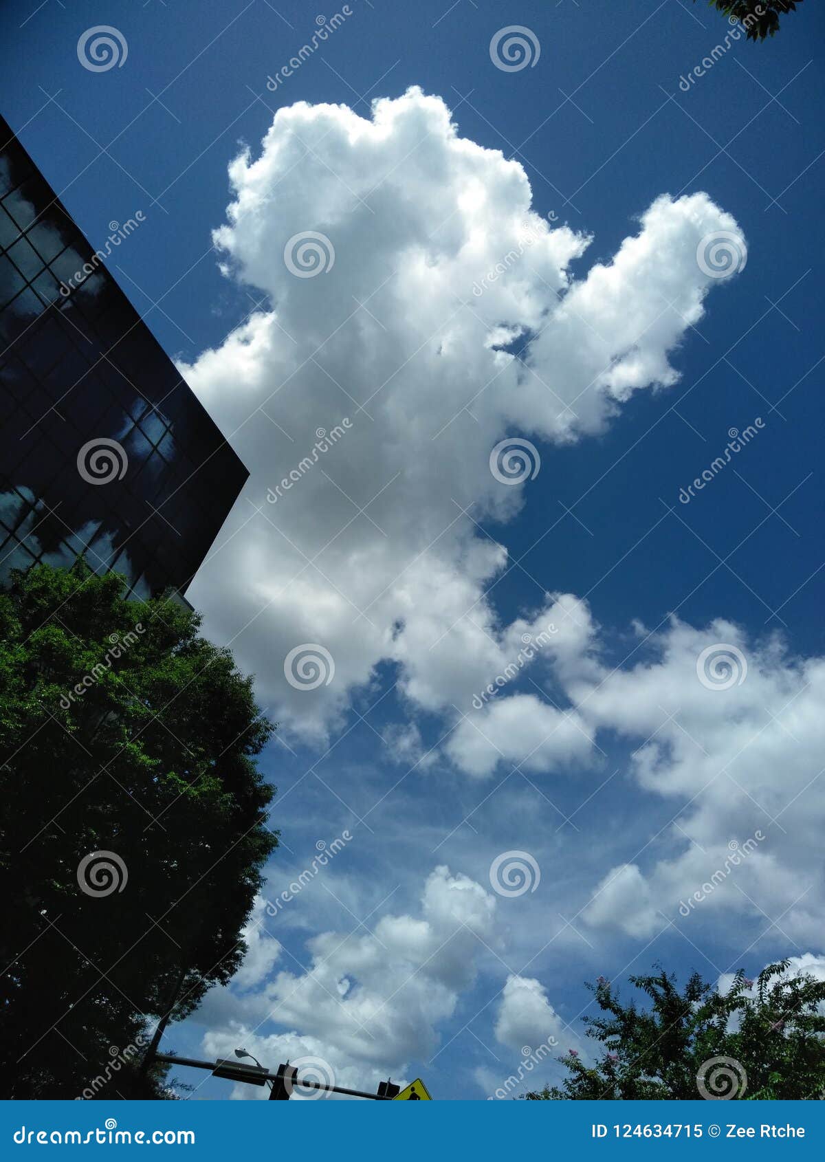 Winnie the Pooh stock image. Image of tennessee, winnie - 124634715
