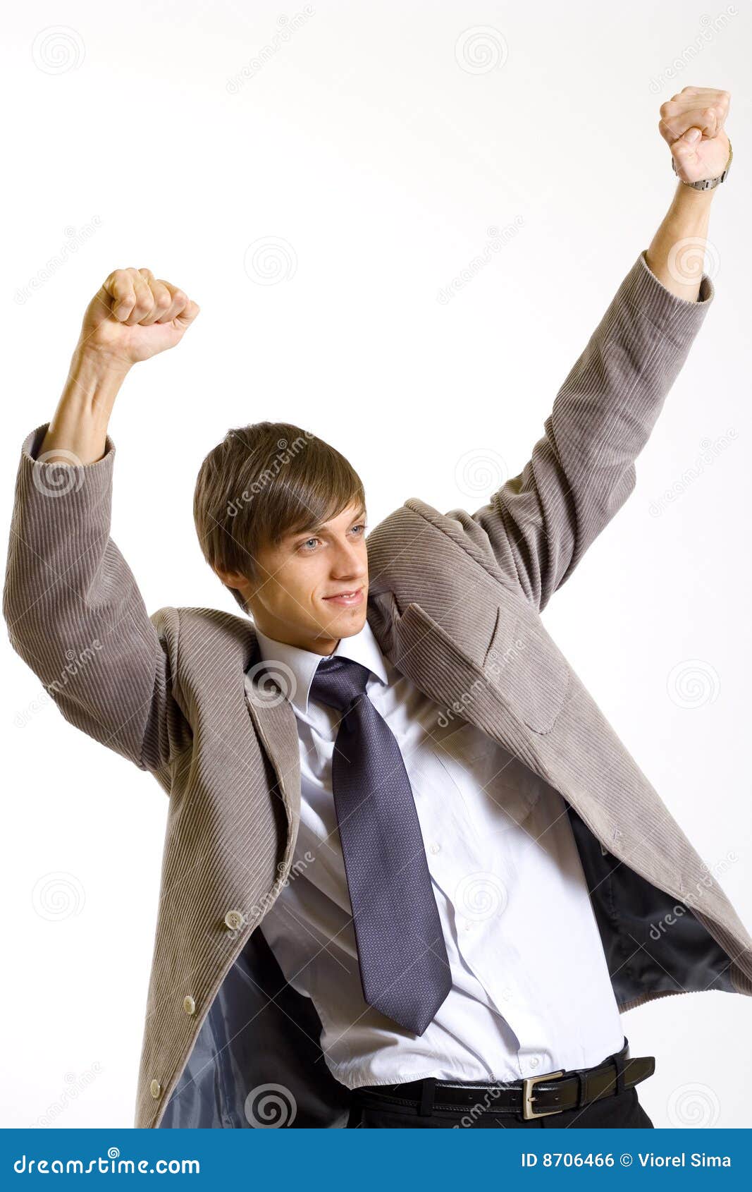 Winning businessman stock photo. Image of businespeople - 8706466