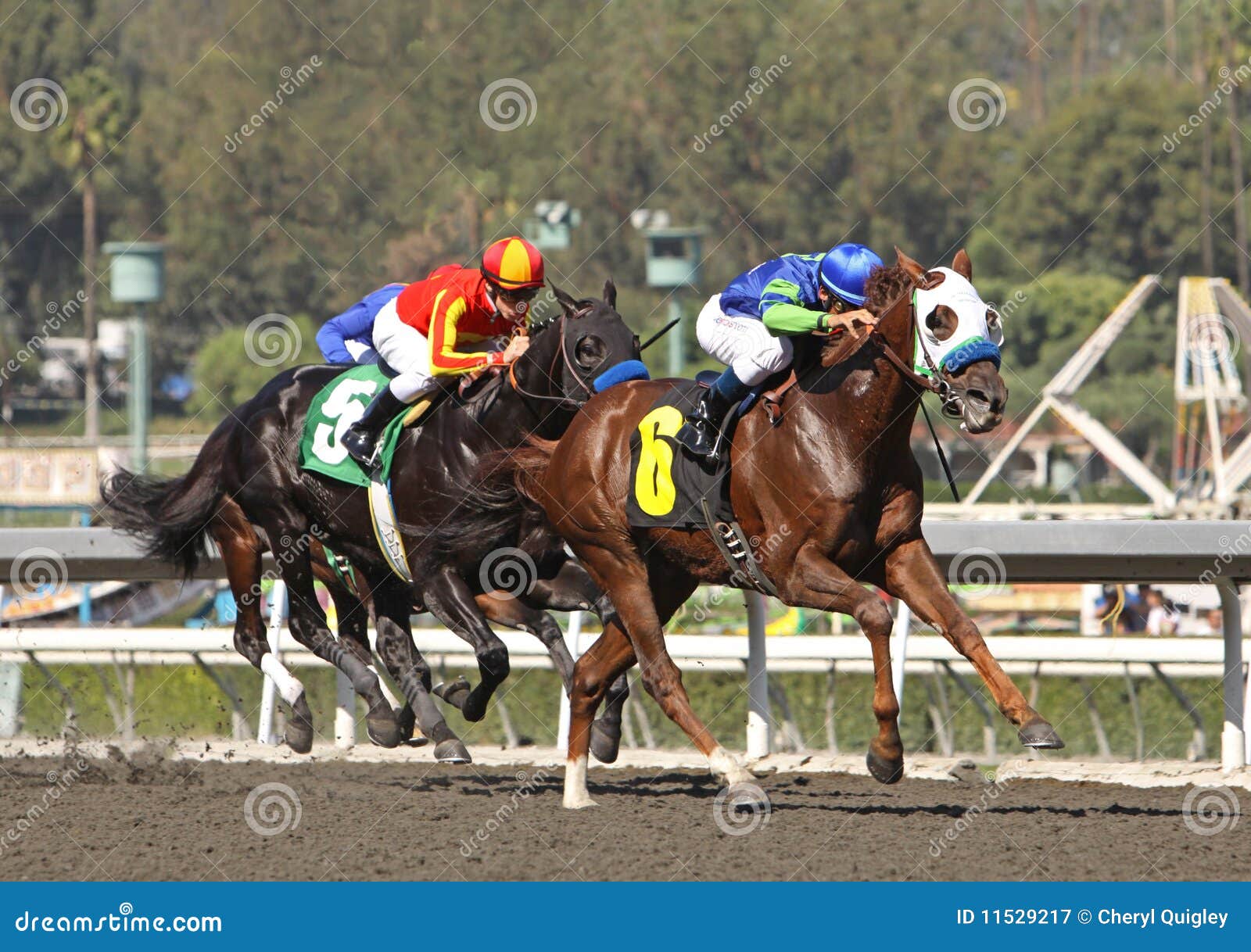 Winning a Claiming Race editorial photography. Image of horizontal ...