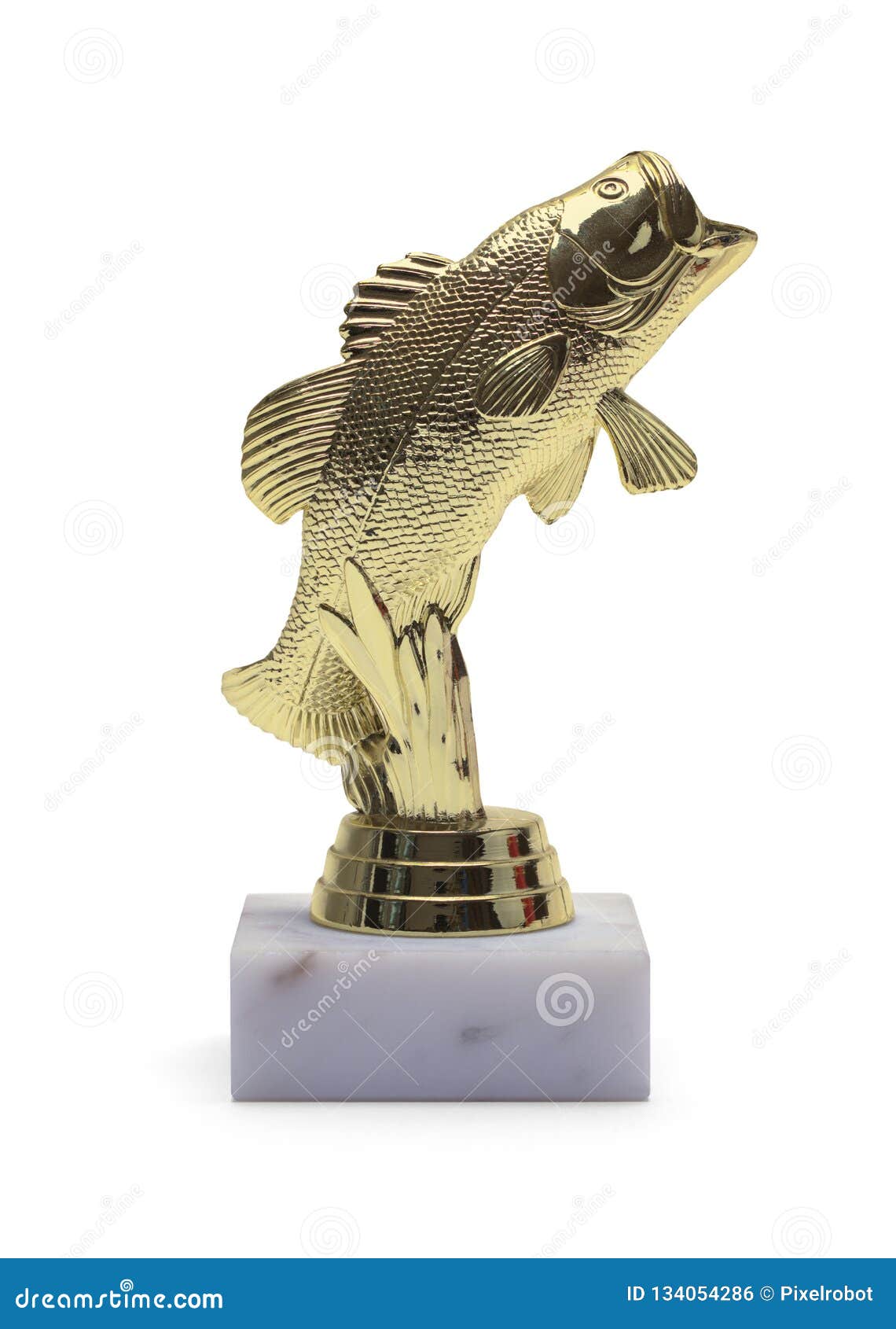 Fish Trophy stock photo. Image of contest, isolated - 134054286