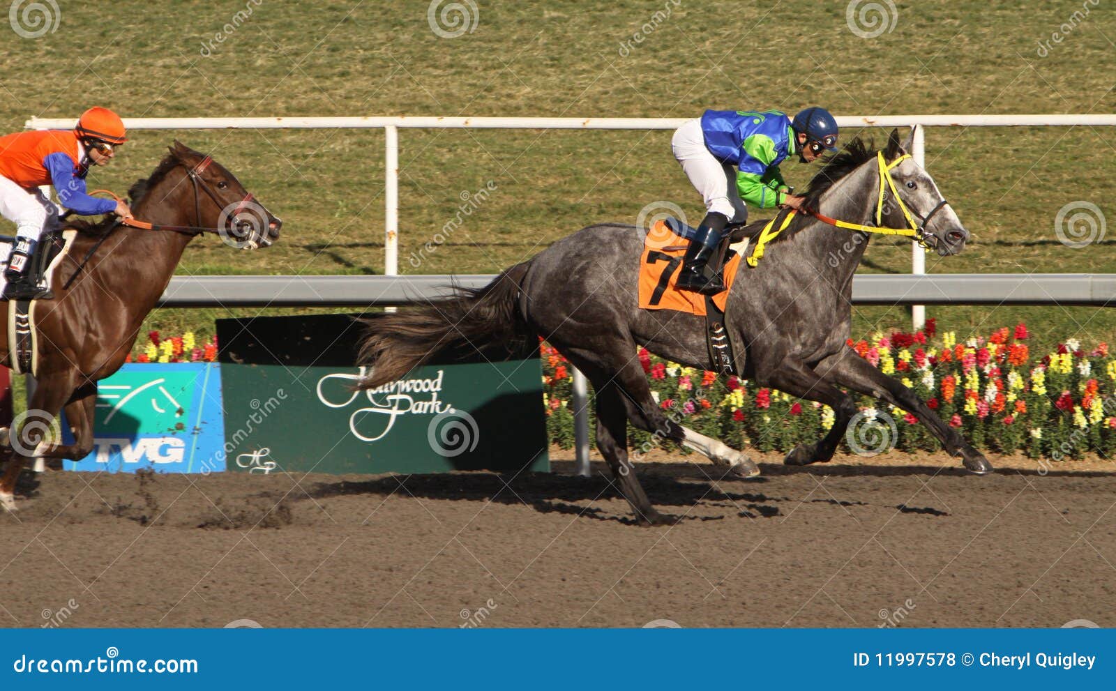 Winning Her First Race editorial stock photo. Image of three - 11997578