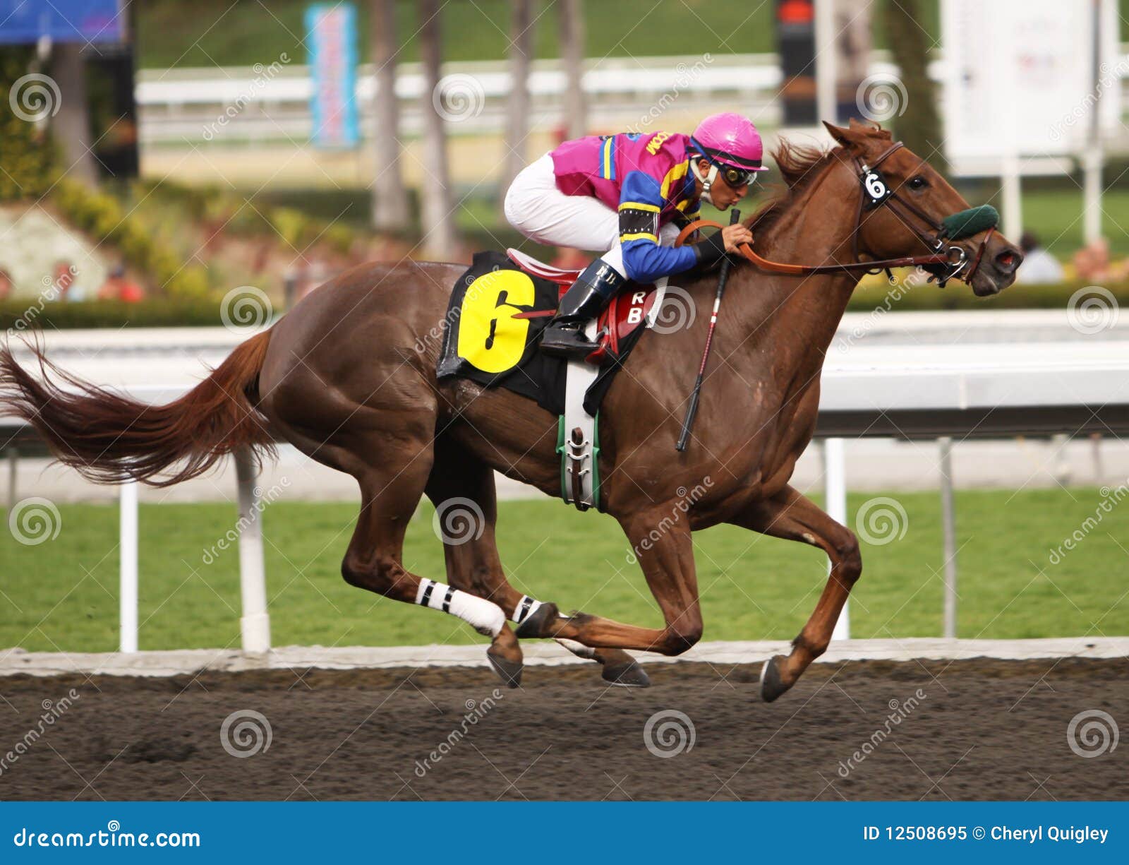 Winning Her First Race editorial image. Image of thoroughbred - 12508695