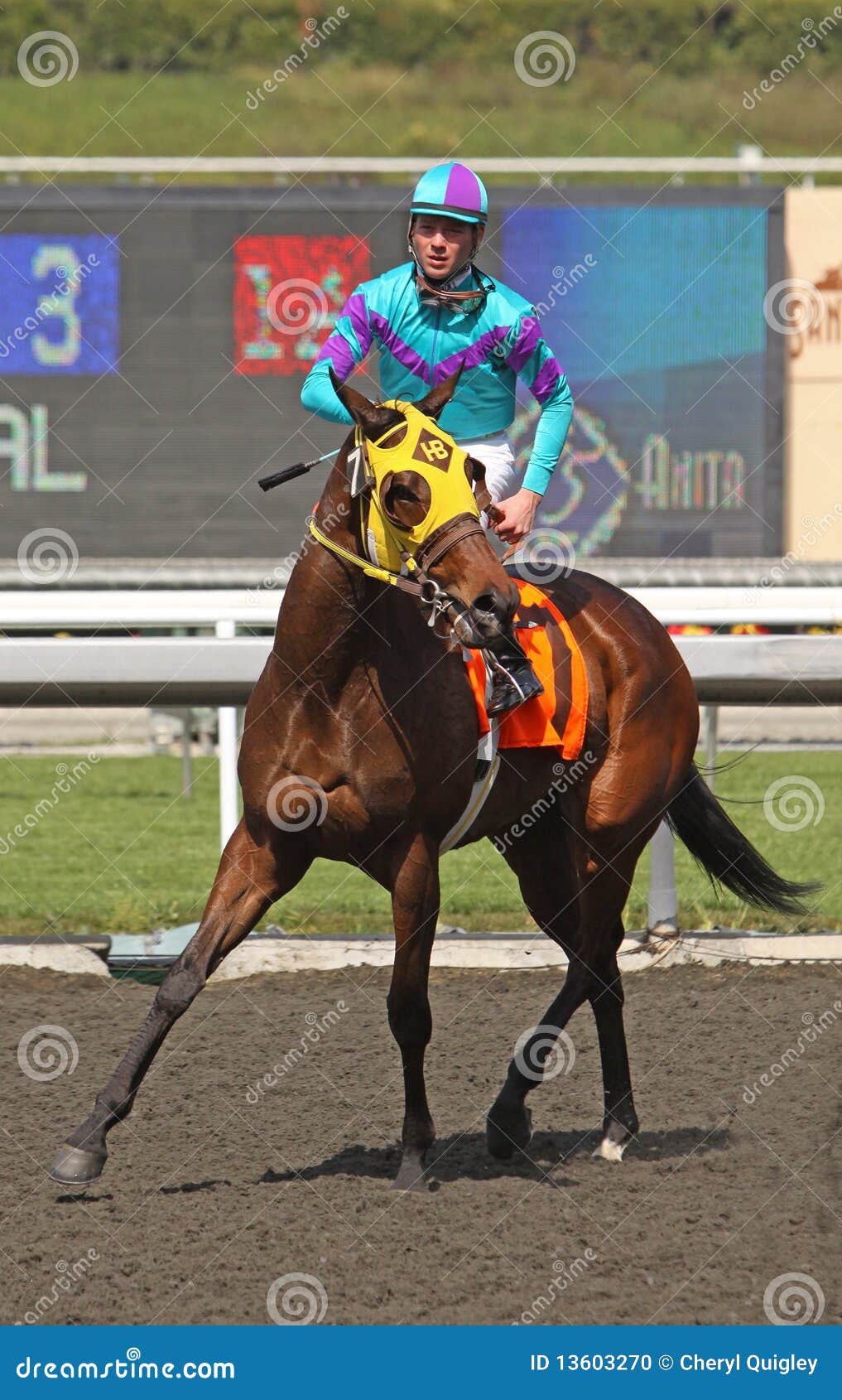 Winning her First Race editorial image. Image of racecourse - 13603270