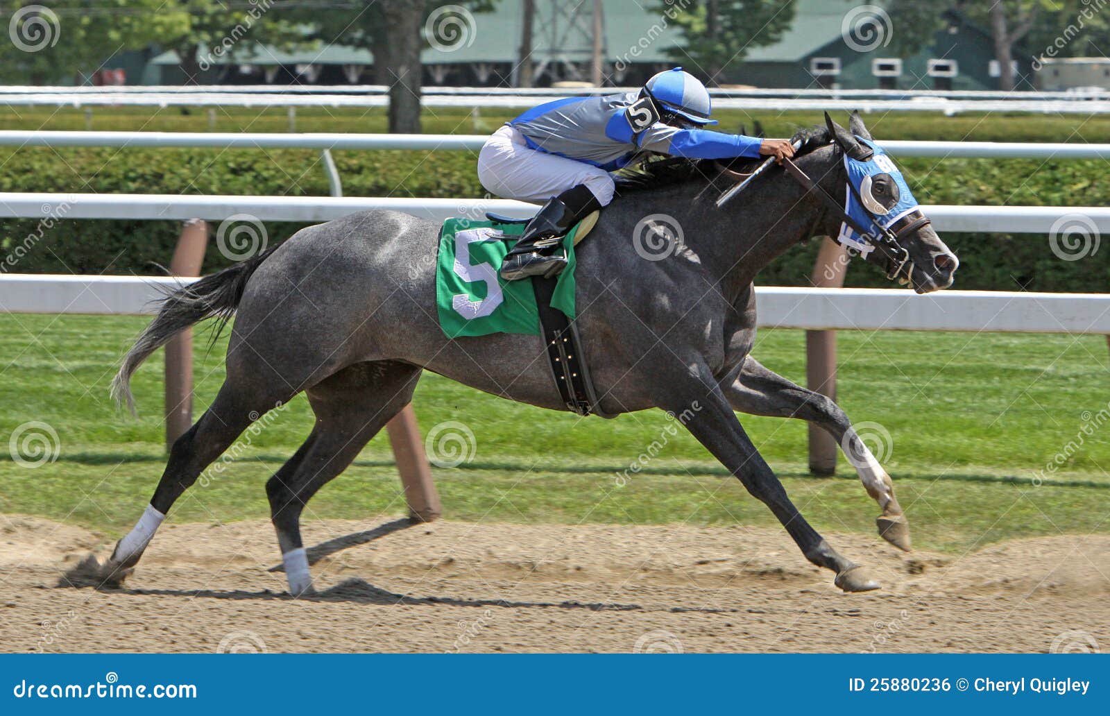 Winning Her First Race editorial photo. Image of horse - 25880236
