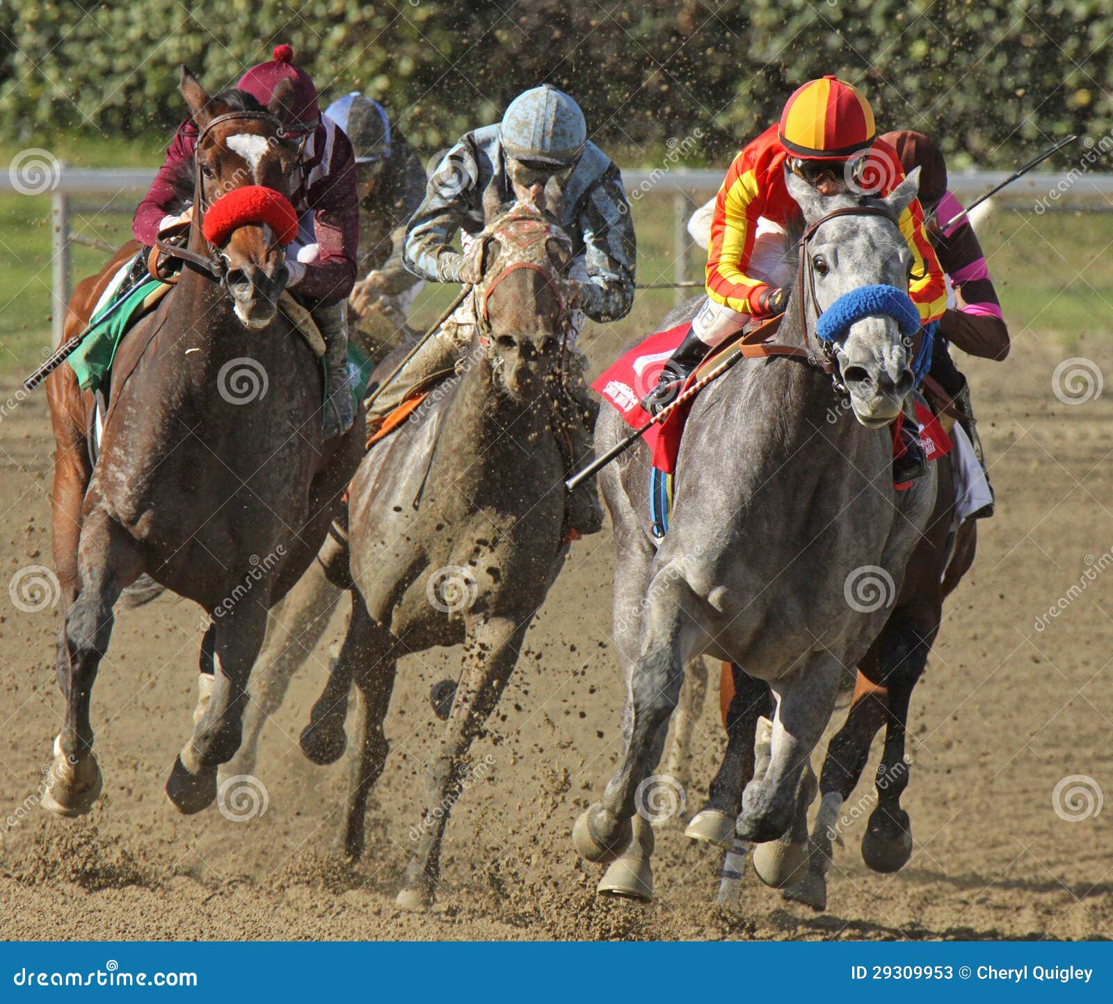 Winning Her First Race editorial stock photo. Image of anita - 29309953