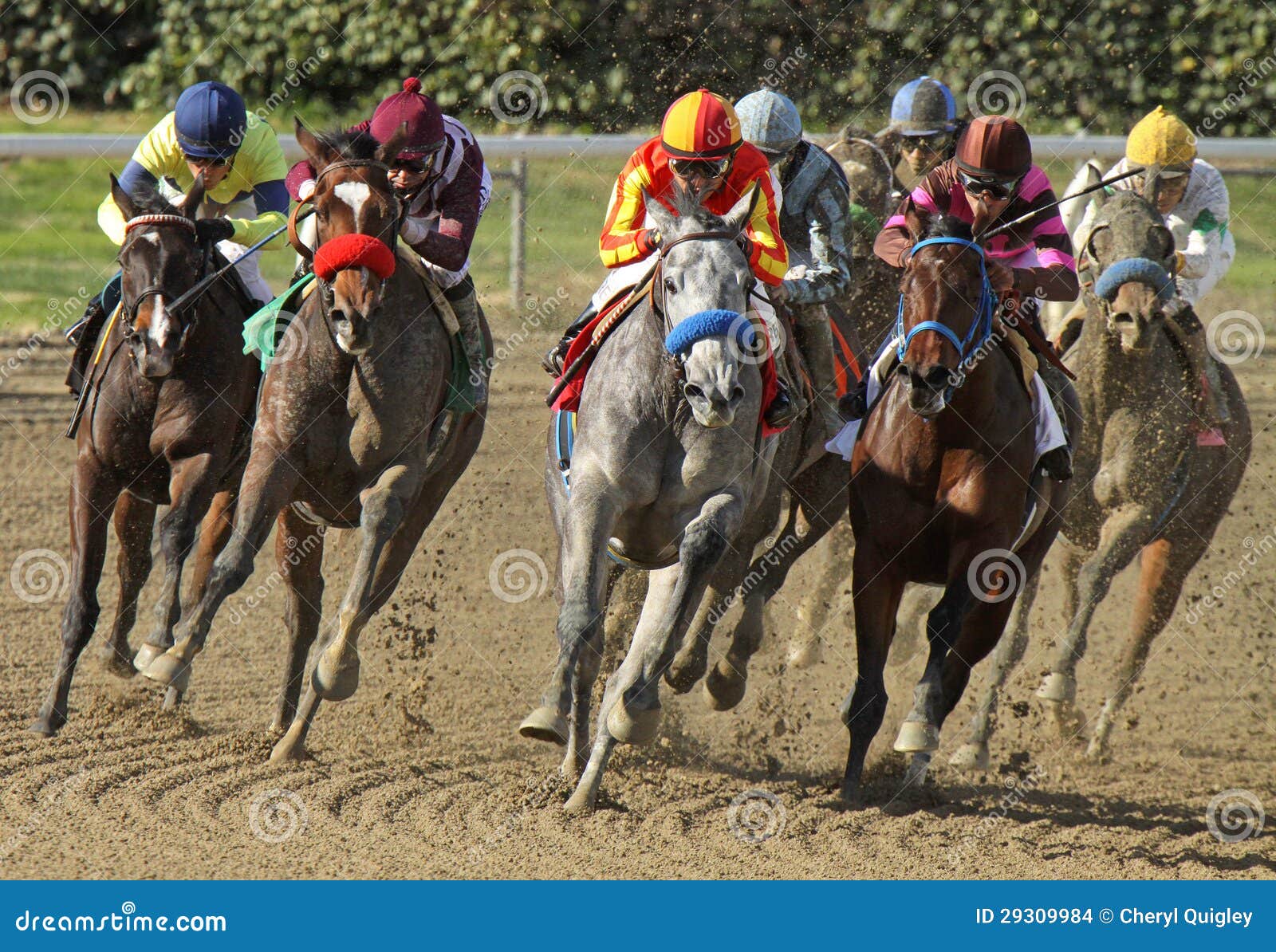 Winning Her First Race editorial stock image. Image of jockey - 29309984