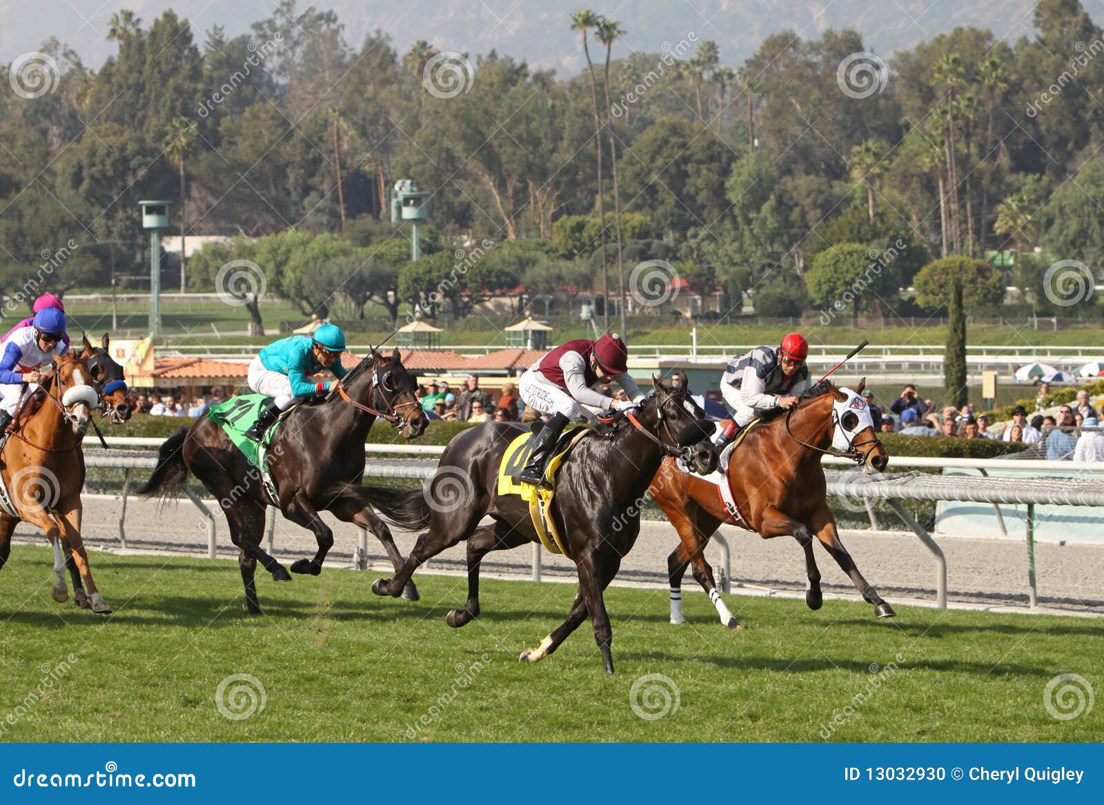 Winning His First Race editorial image. Image of track - 13032930