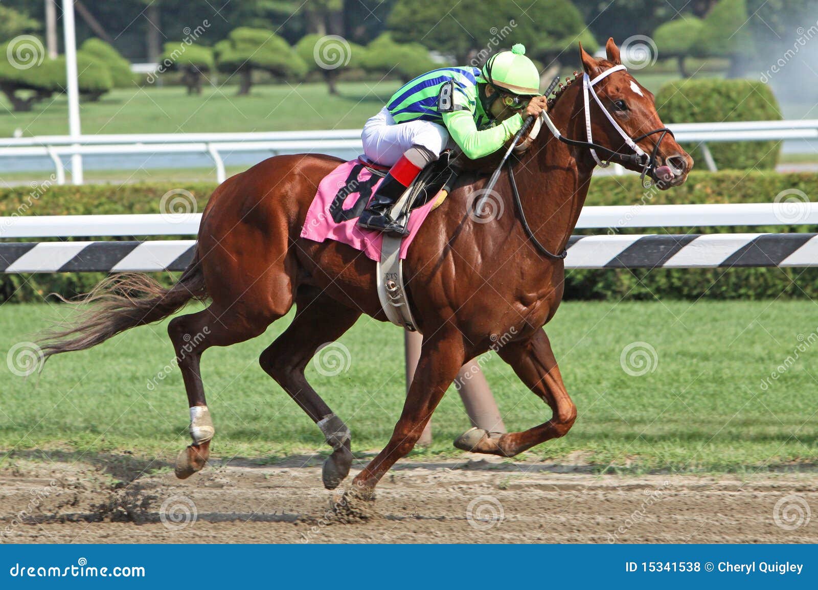 Winning His First Race editorial stock photo. Image of quick - 15341538