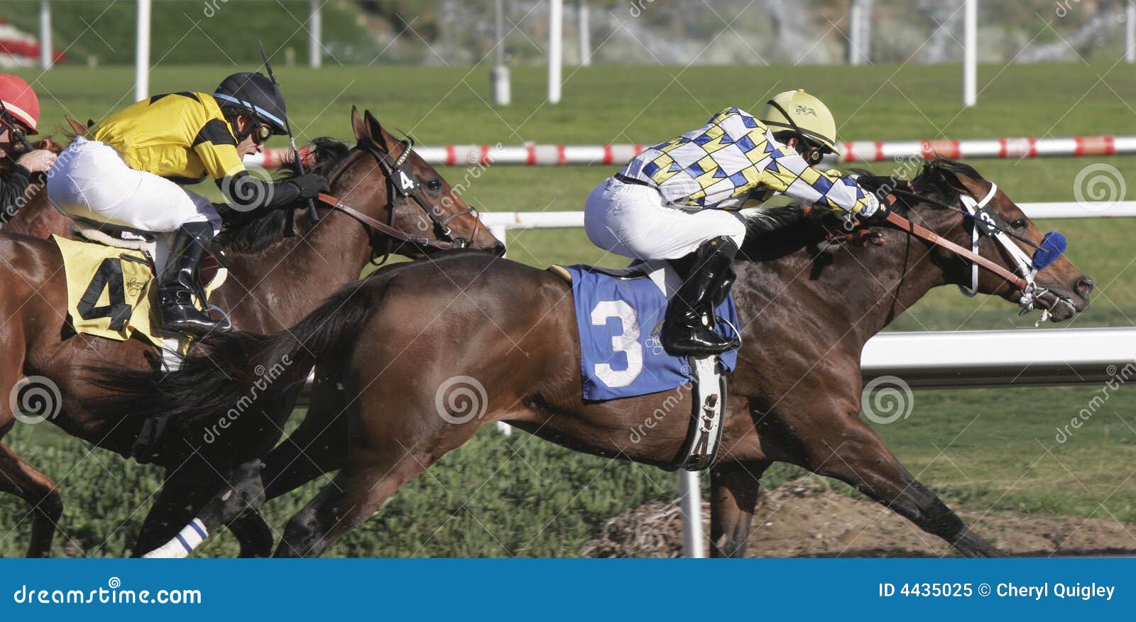 Winning His First Race editorial image. Image of grass - 4435025