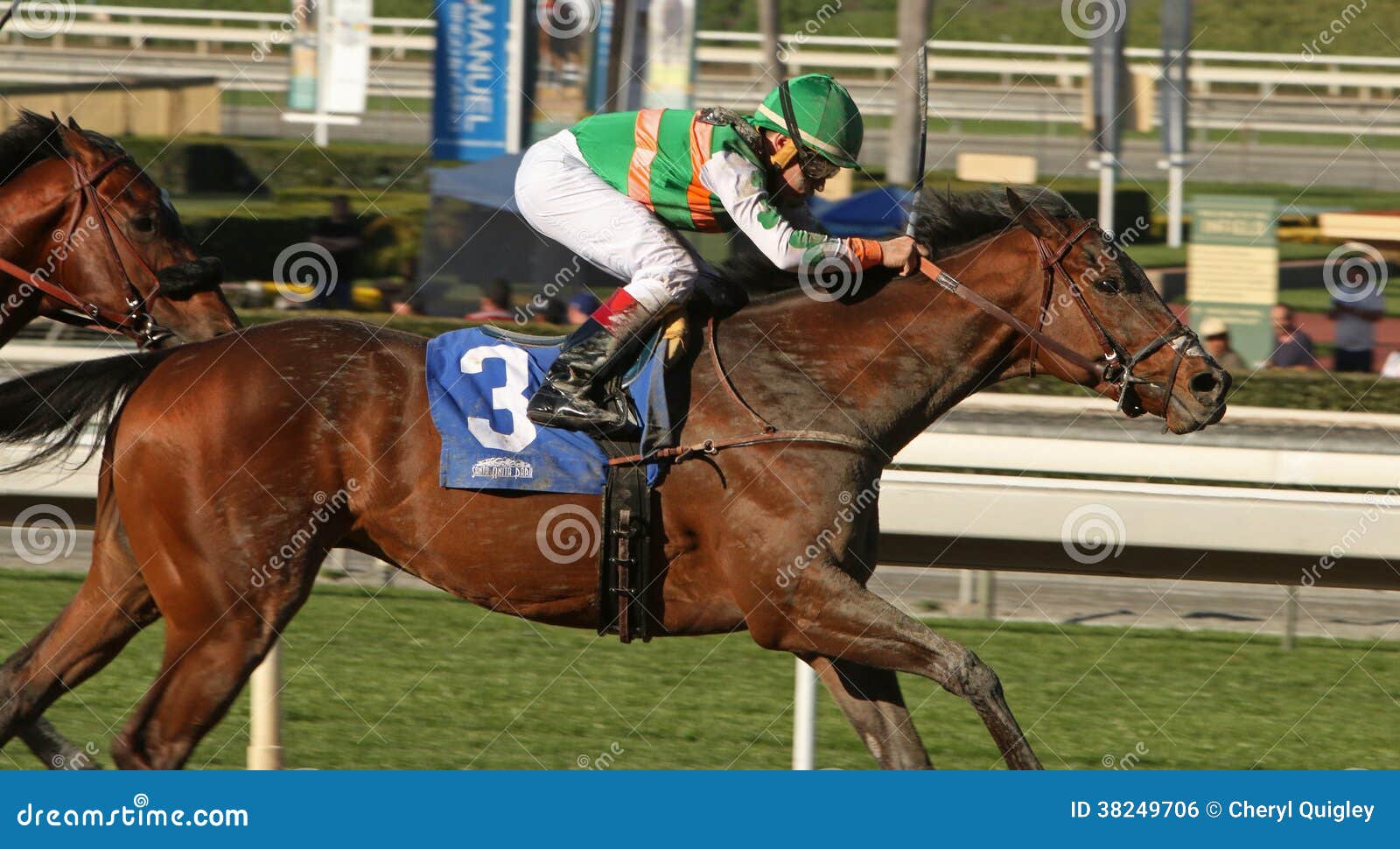 Winning His Second Race editorial photo. Image of racecourse - 38249706