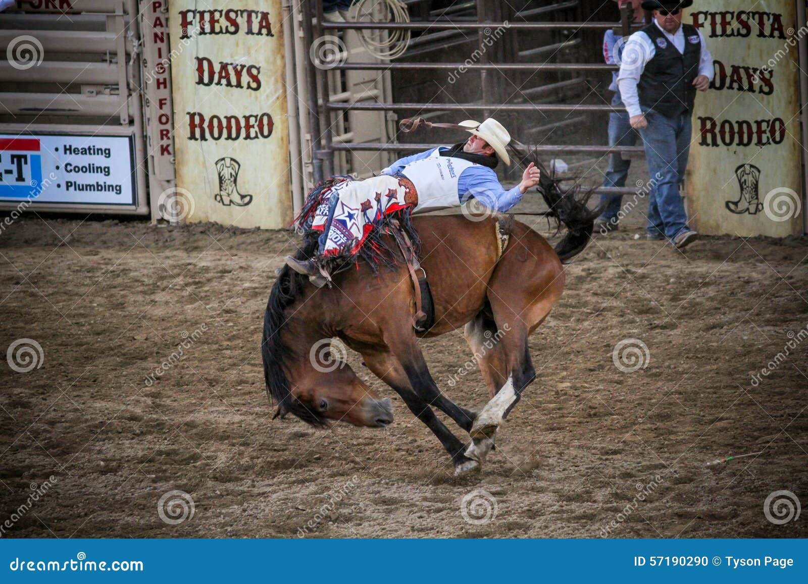 A Winning Ride editorial image. Image of winning, bronc - 57190290