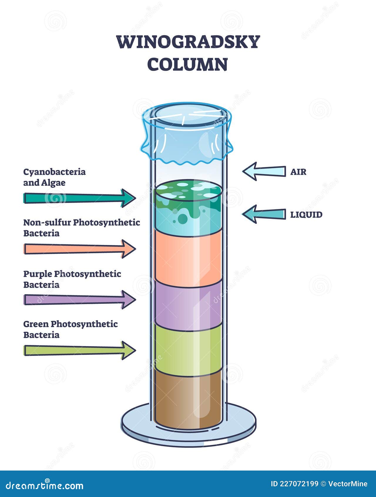 Winogradsky Column Device Method for Soil Science Research Outline ...