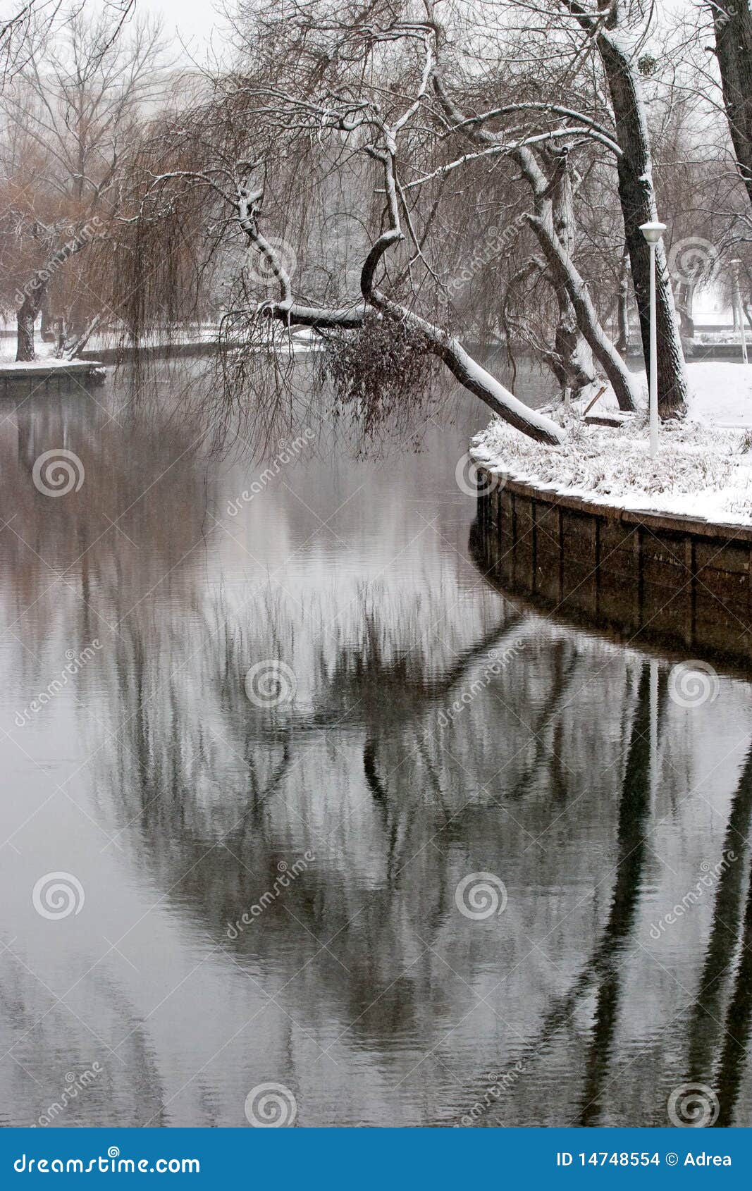 Trees Covered with Snow and There Reflection in Water Stock Photo ...
