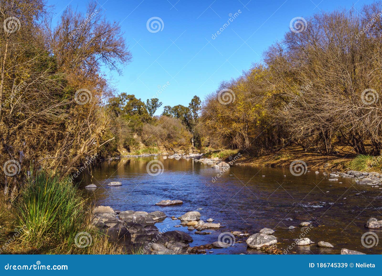 Santa Rosa River in Autumn stock image. Image of argentina - 186745339
