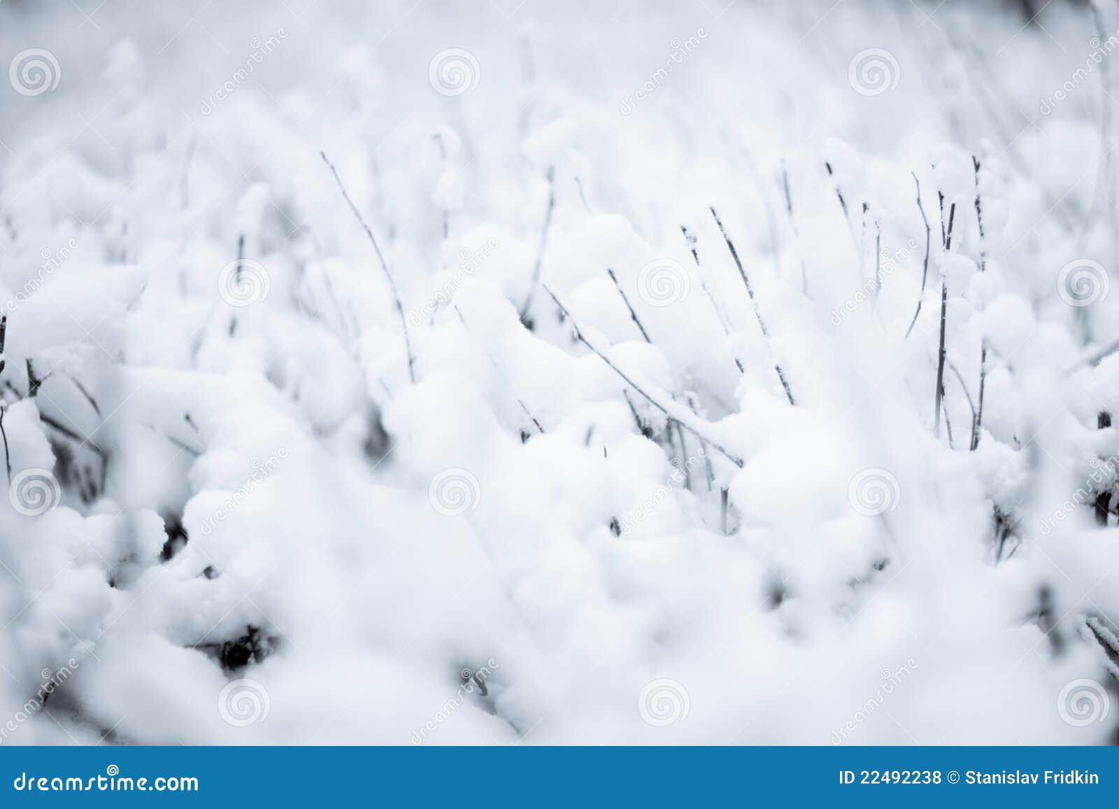 Winter stock photo. Image of nature, cold, season, white - 22492238